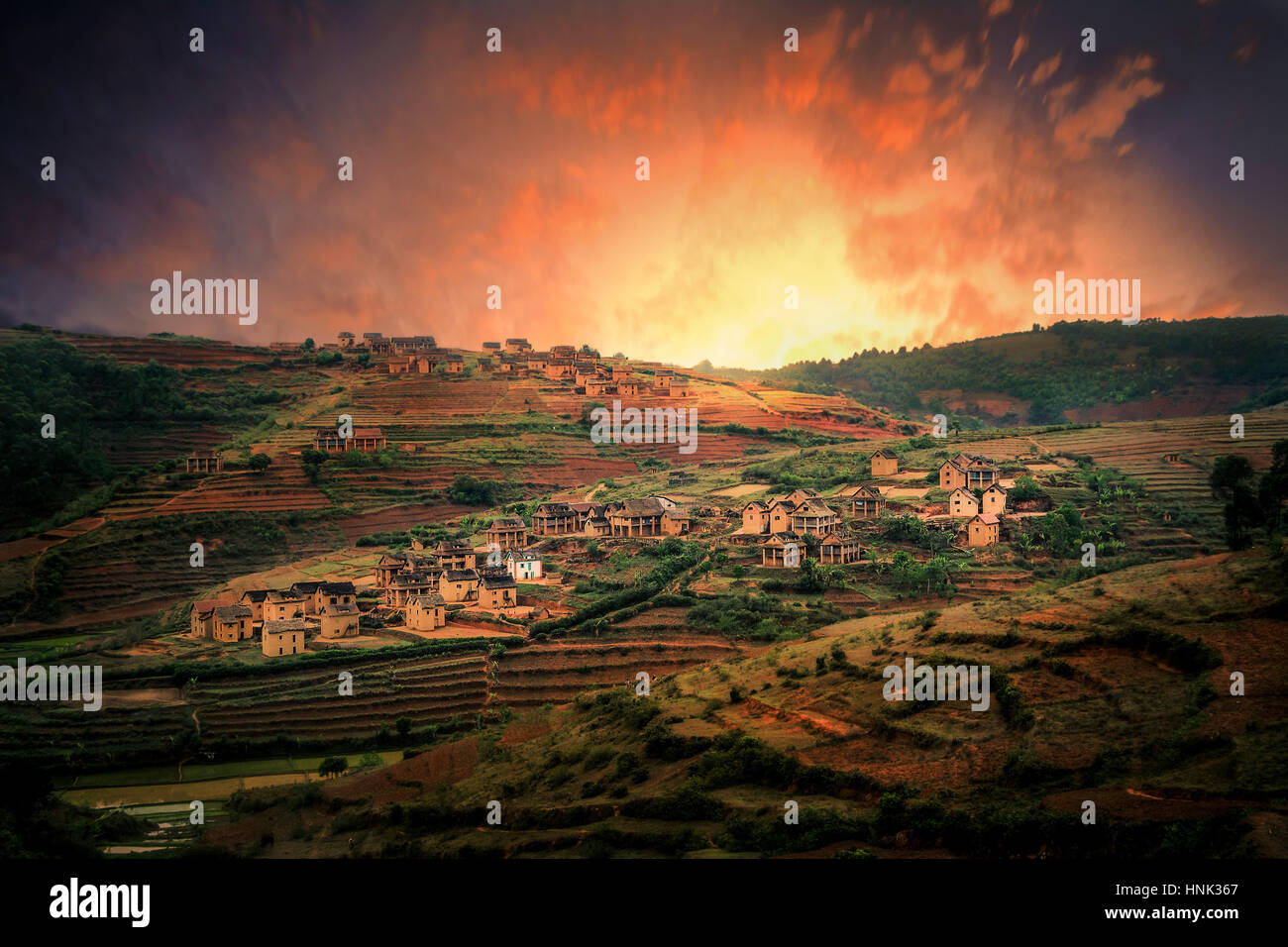 Madagascar rice farm hi-res stock photography and images - Alamy