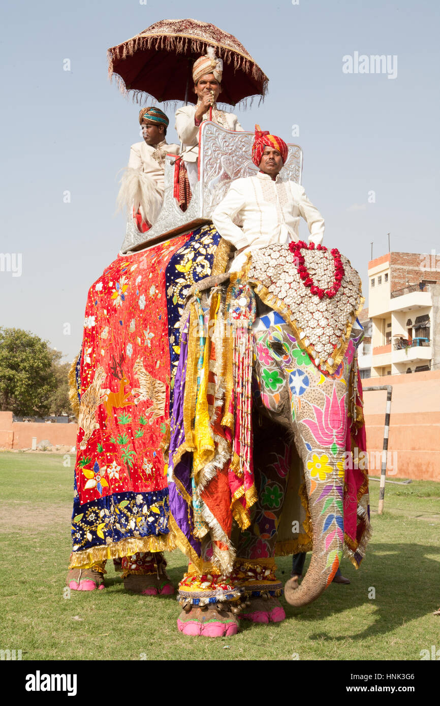 Tourists,folk music,dance Painted,decorated,elephants,At Holi,Spring ...