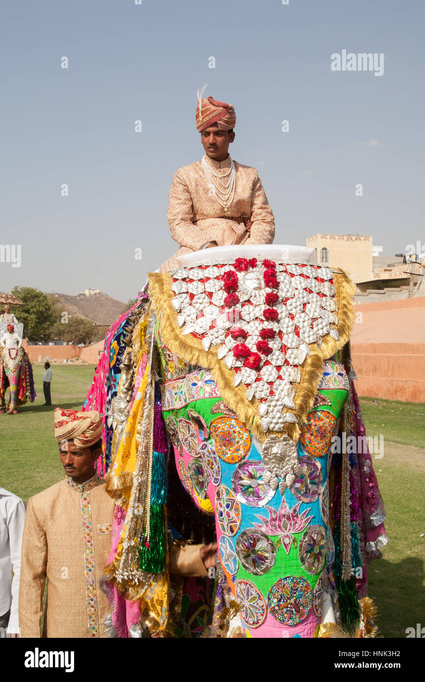 Tourists,folk music,dance Painted,decorated,elephants,At Holi,Spring ...