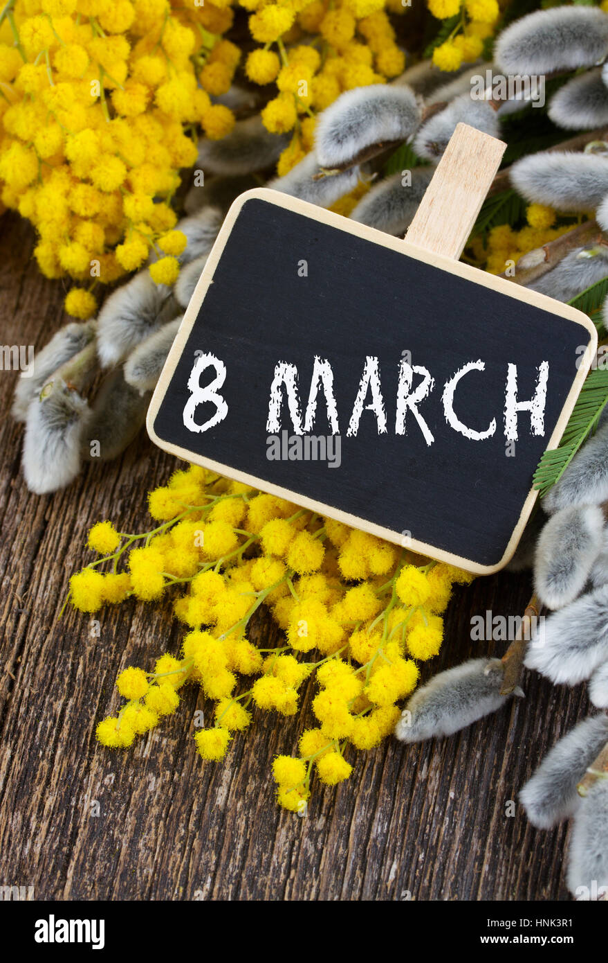 French mimosa with catkins Stock Photo - Alamy