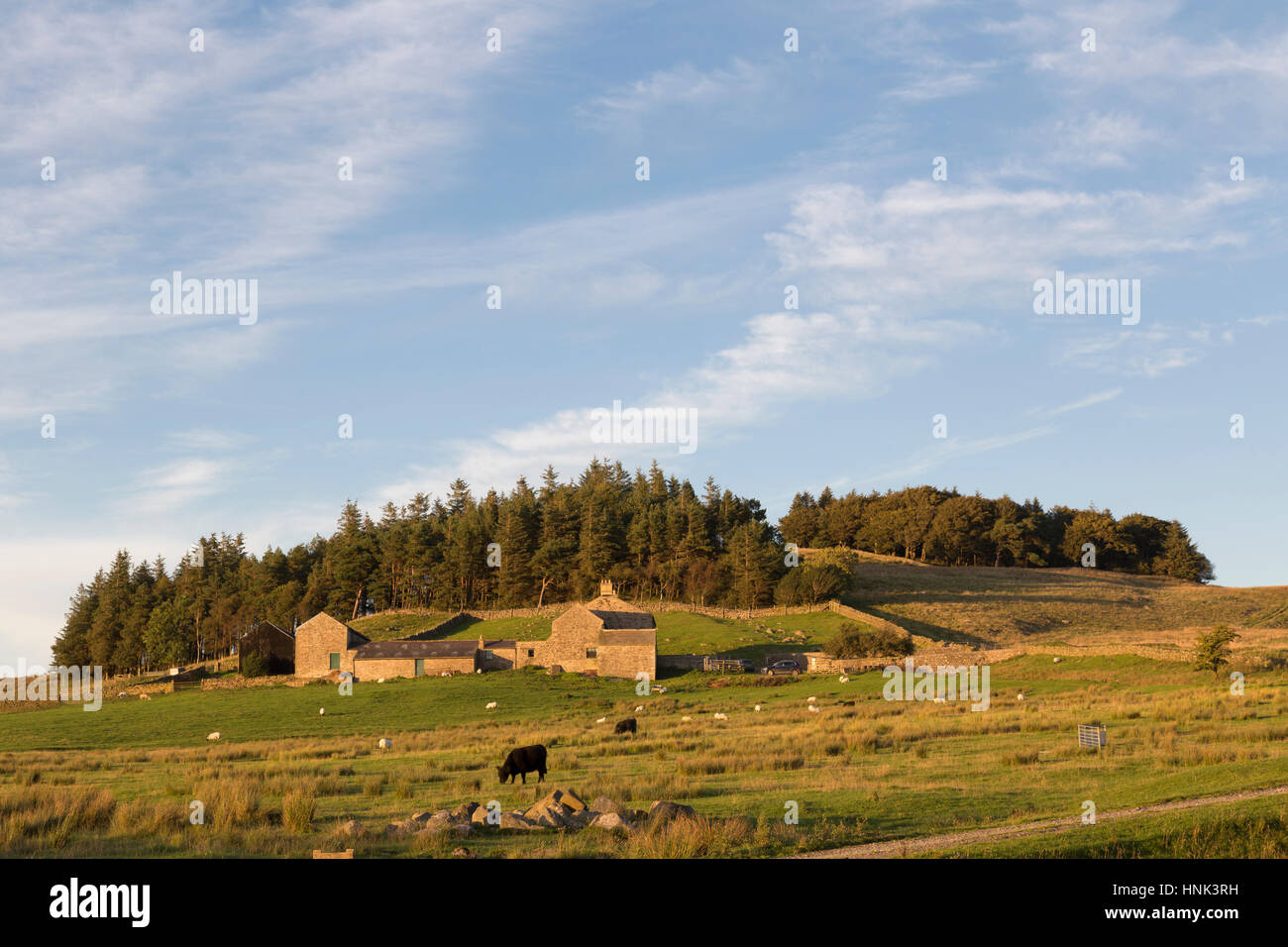 Largely treeless hi-res stock photography and images - Alamy