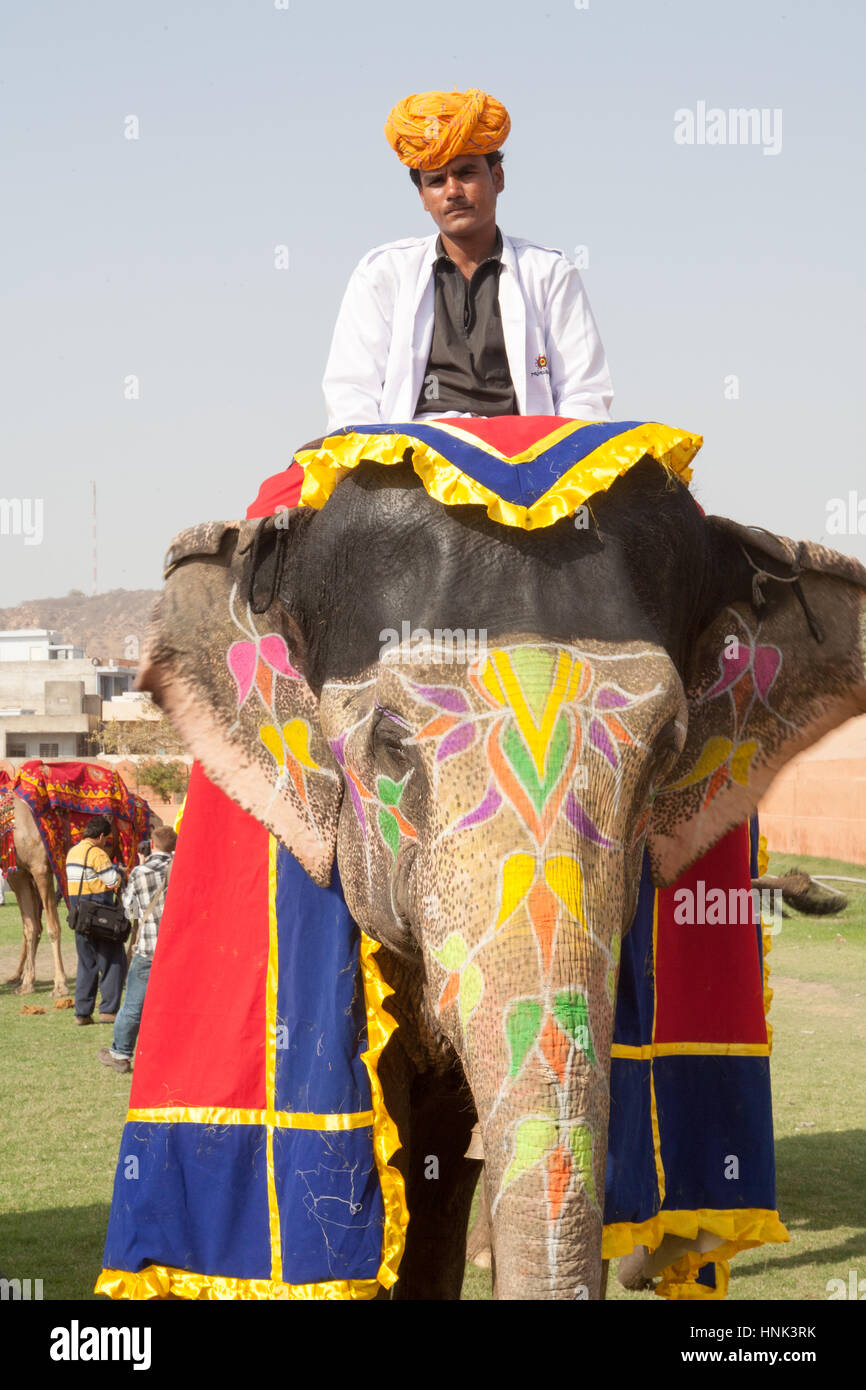 Tourists,folk music,dance Painted,decorated,elephants,At Holi,Spring ...