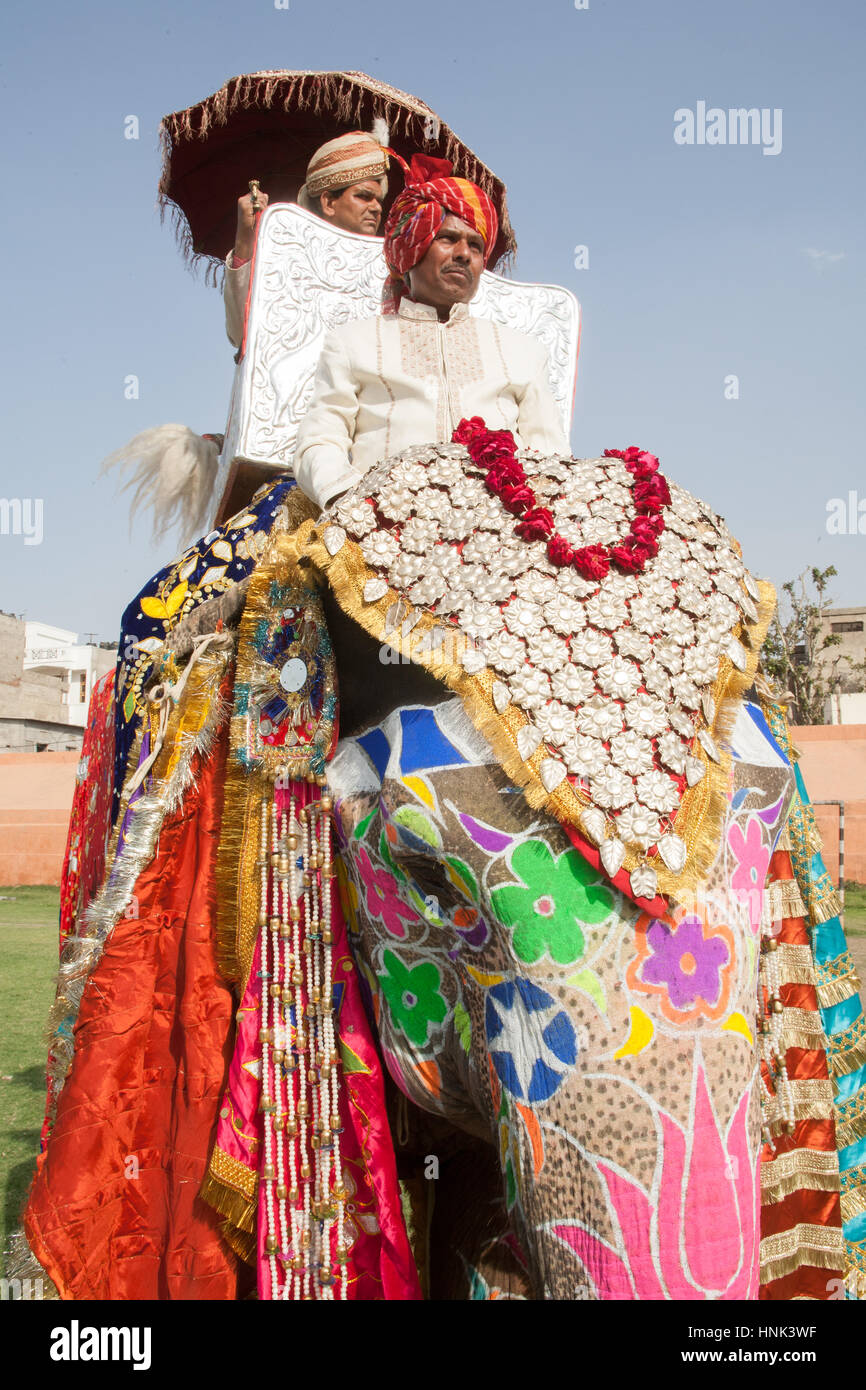 Tourists,folk music,dance Painted,decorated,elephants,At Holi,Spring ...
