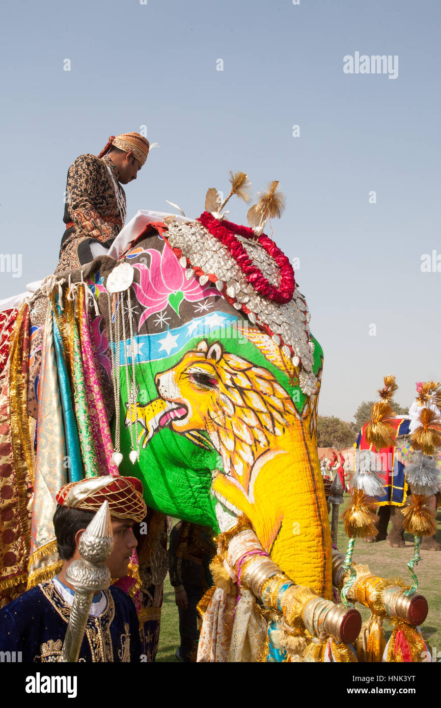 Decorated elephants hi-res stock photography and images - Alamy