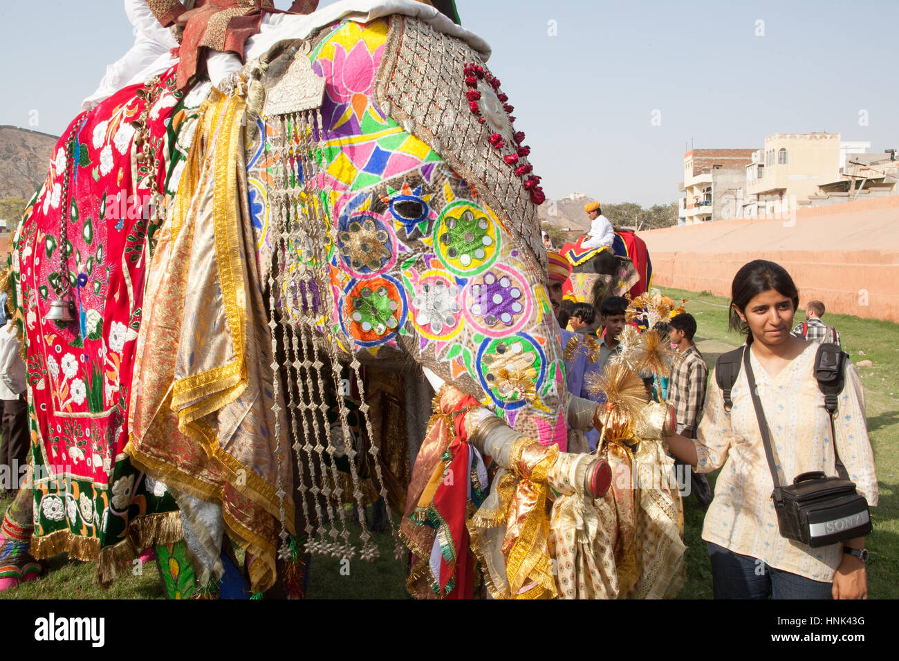 Tourists,folk music,dance Painted,decorated,elephants,At Holi,Spring ...