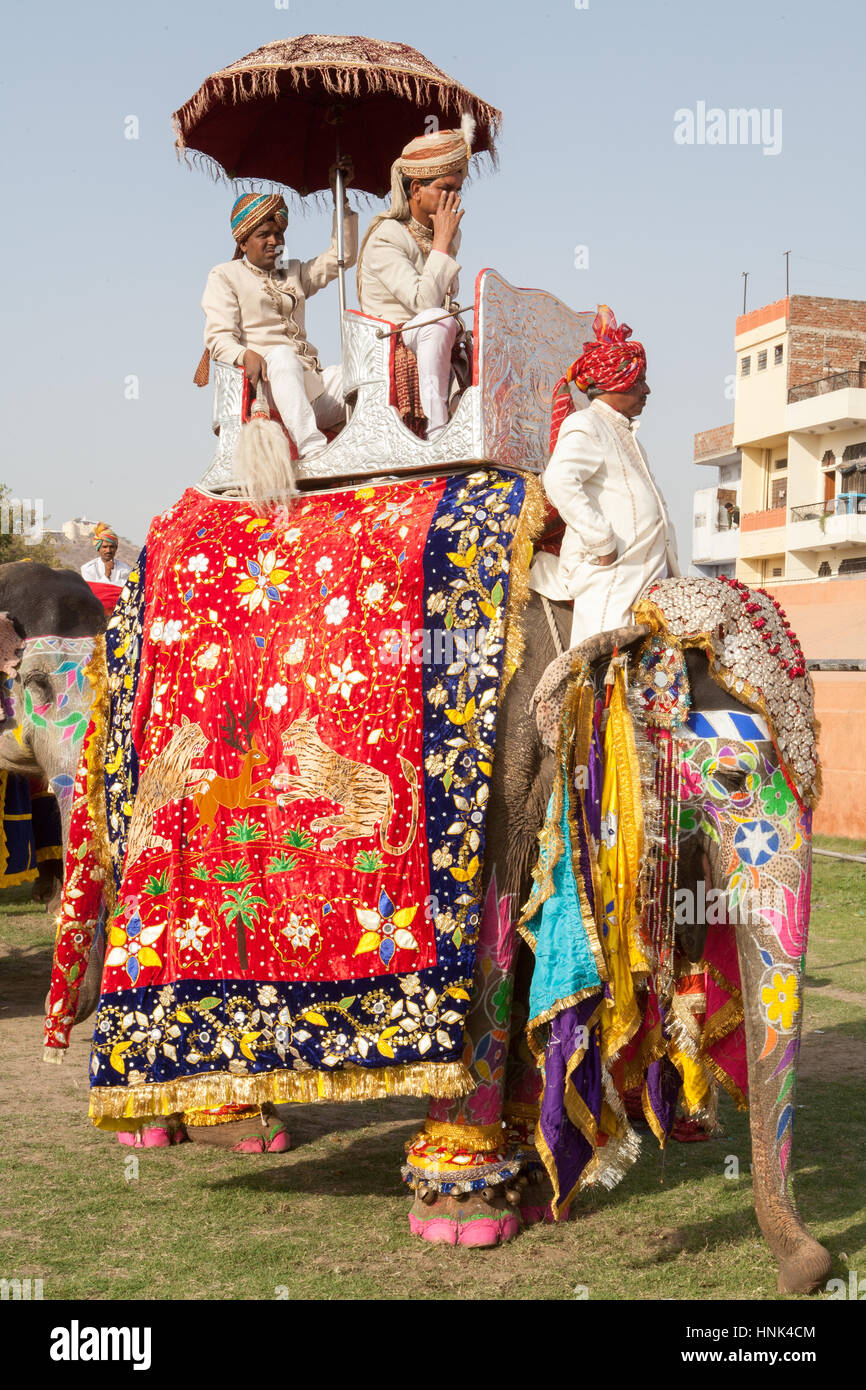 Tourists,folk music,dance Painted,decorated,elephants,At Holi,Spring ...
