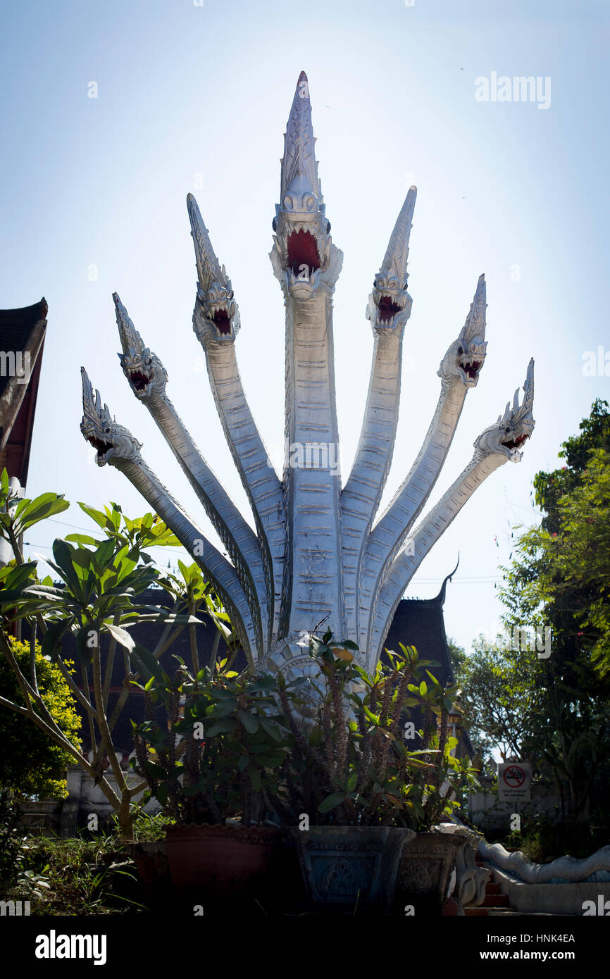 Snakes of laos hi-res stock photography and images - Alamy