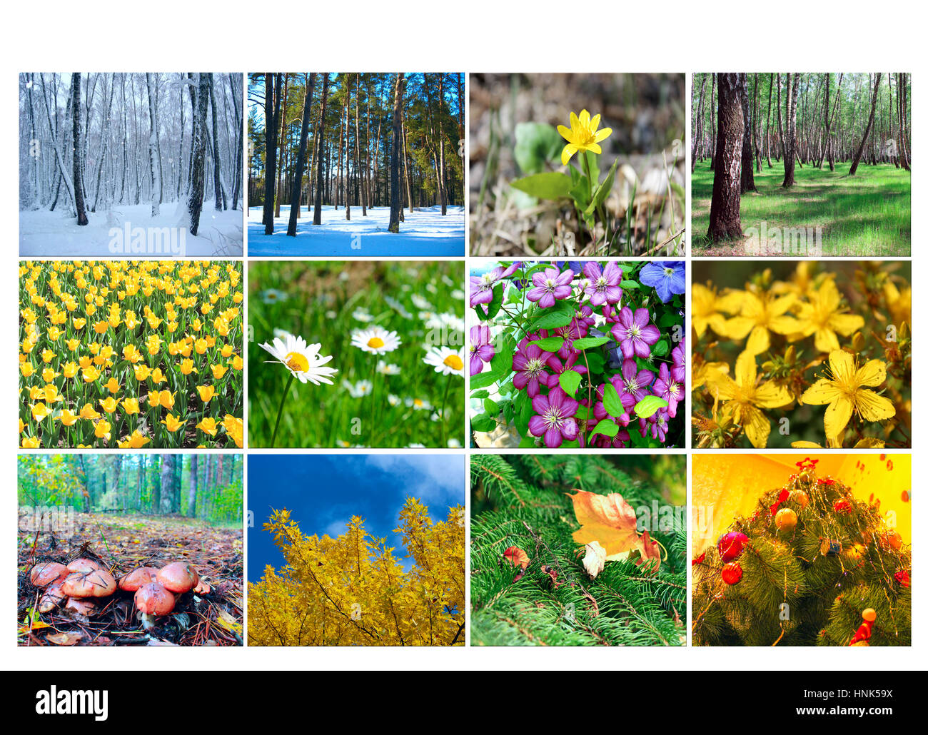 blank with different twelve colored images of nature for calendar Stock ...