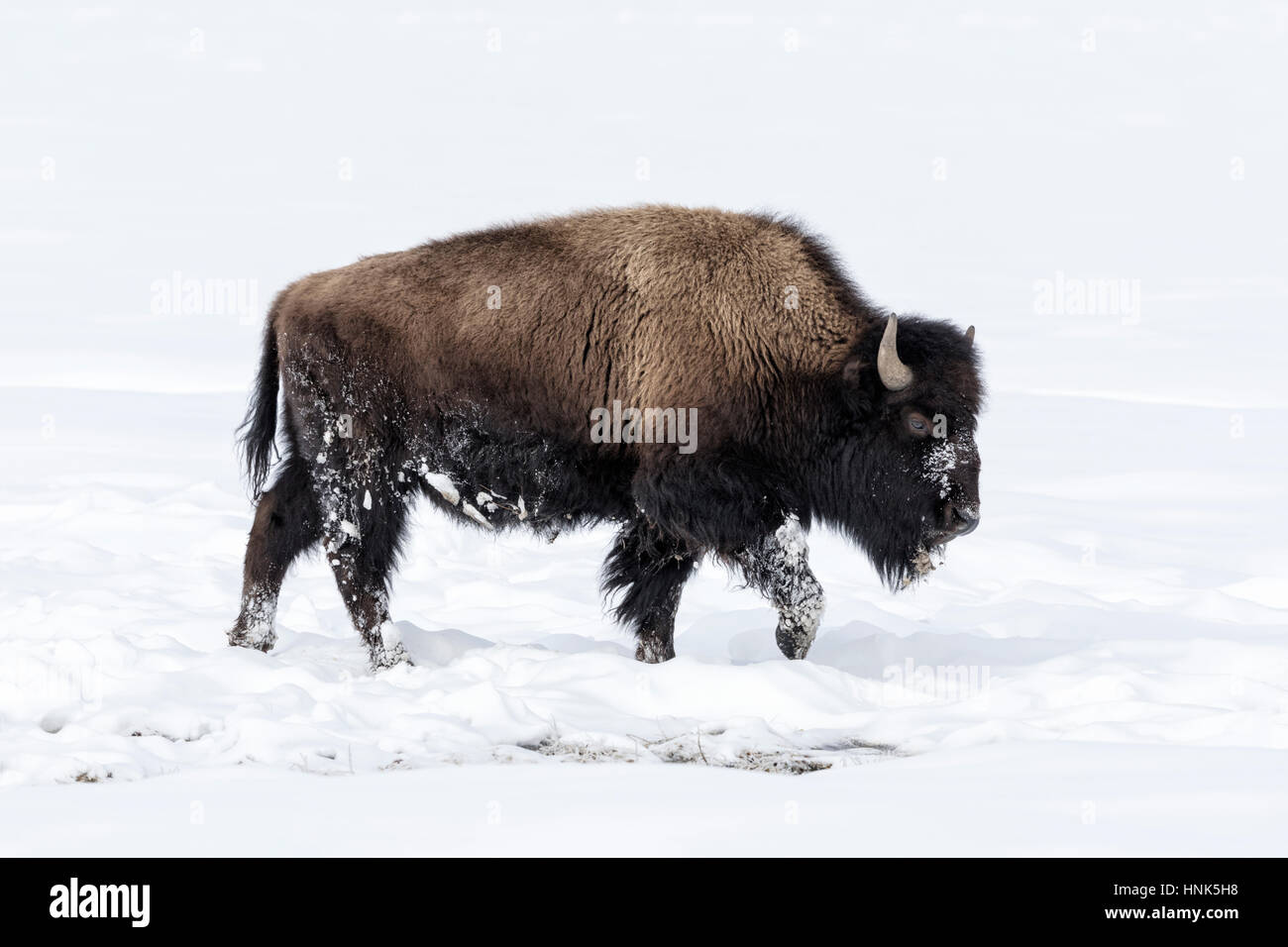 Classic american scenery hi-res stock photography and images - Alamy