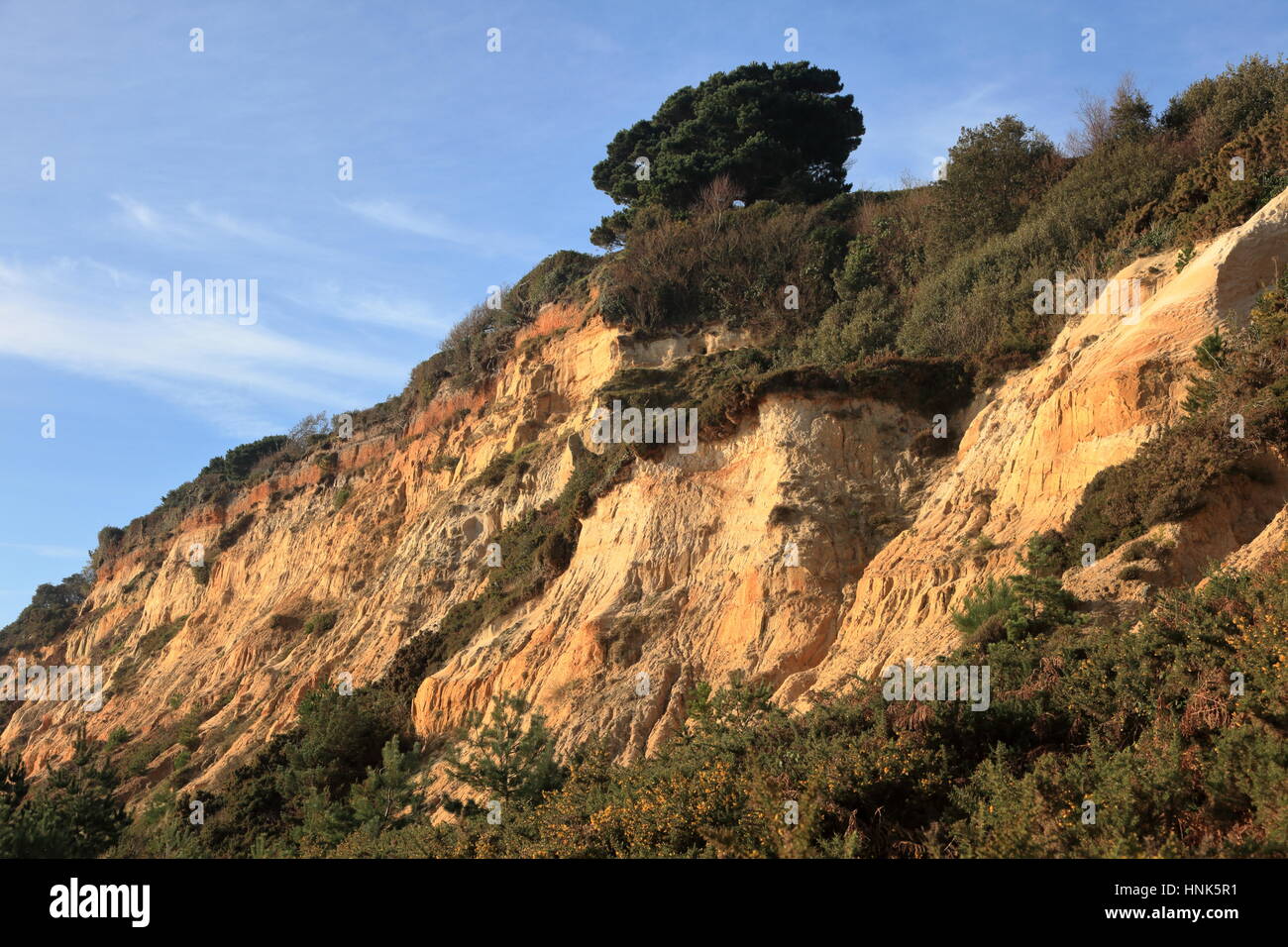 Sandstone cliff face seafront overlooking Branksome / Poole beach in ...