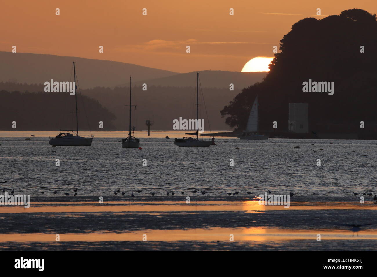Poole sunsets hi-res stock photography and images - Alamy