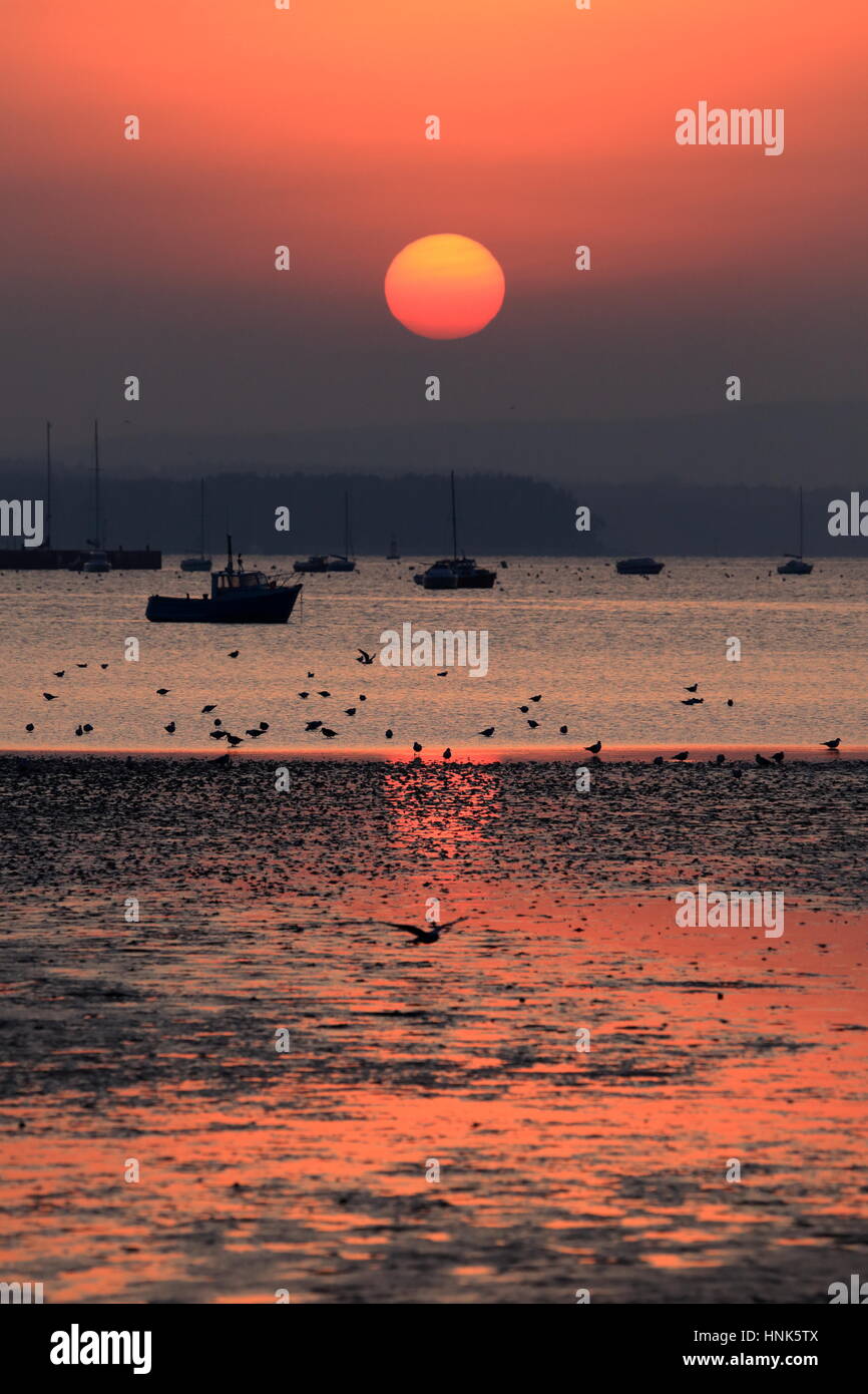 Poole Sunsets High Resolution Stock Photography and Images - Alamy