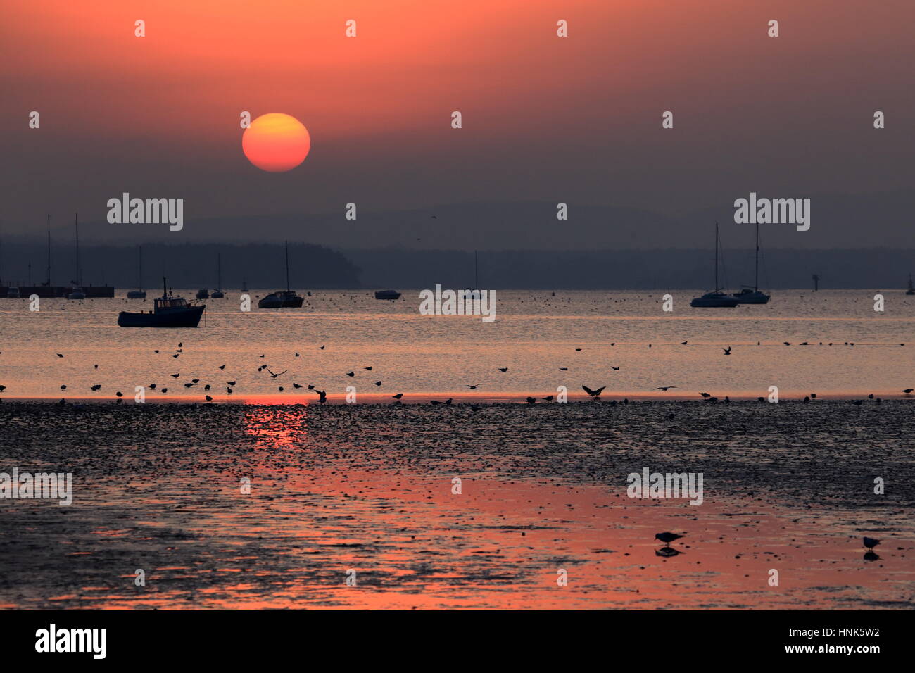 Poole sunsets hi-res stock photography and images - Alamy