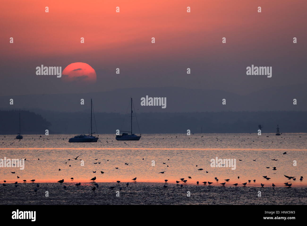 Poole sunsets hi-res stock photography and images - Alamy