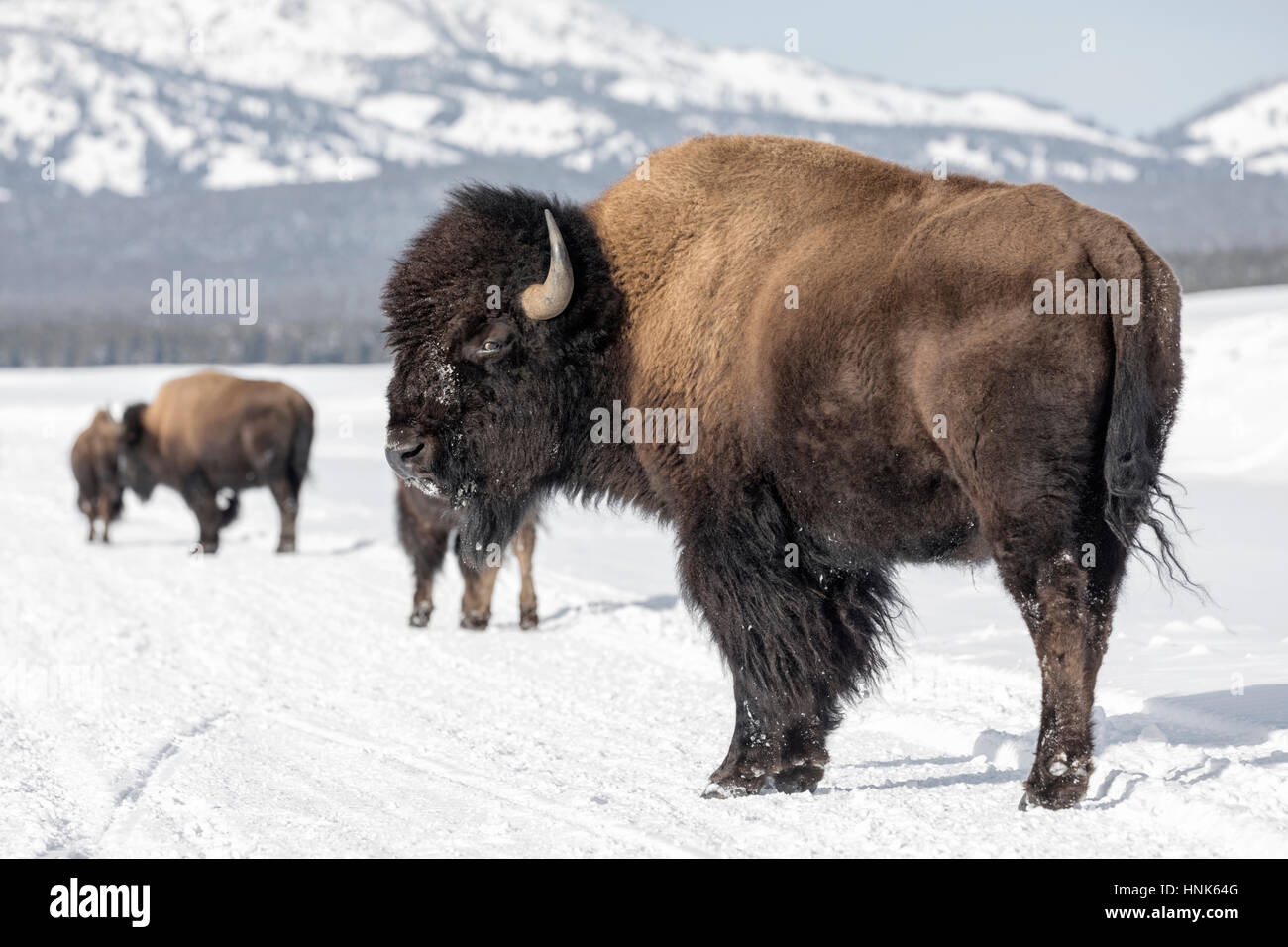 Classic american scenery hi-res stock photography and images - Alamy
