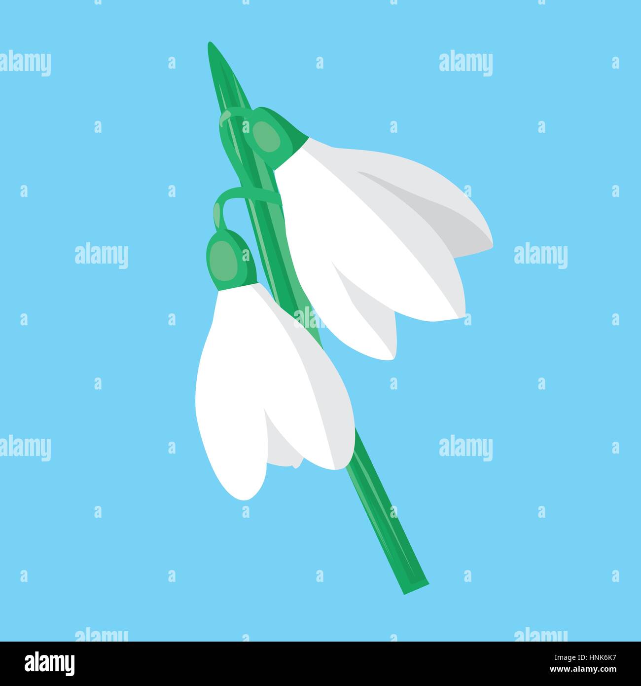 Snowdrops on a blue background. Spring vector illustration. Vector ...