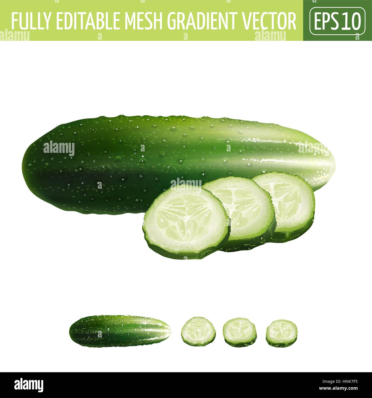 Cucumber on white background. Vector illustration Stock Vector Image ...