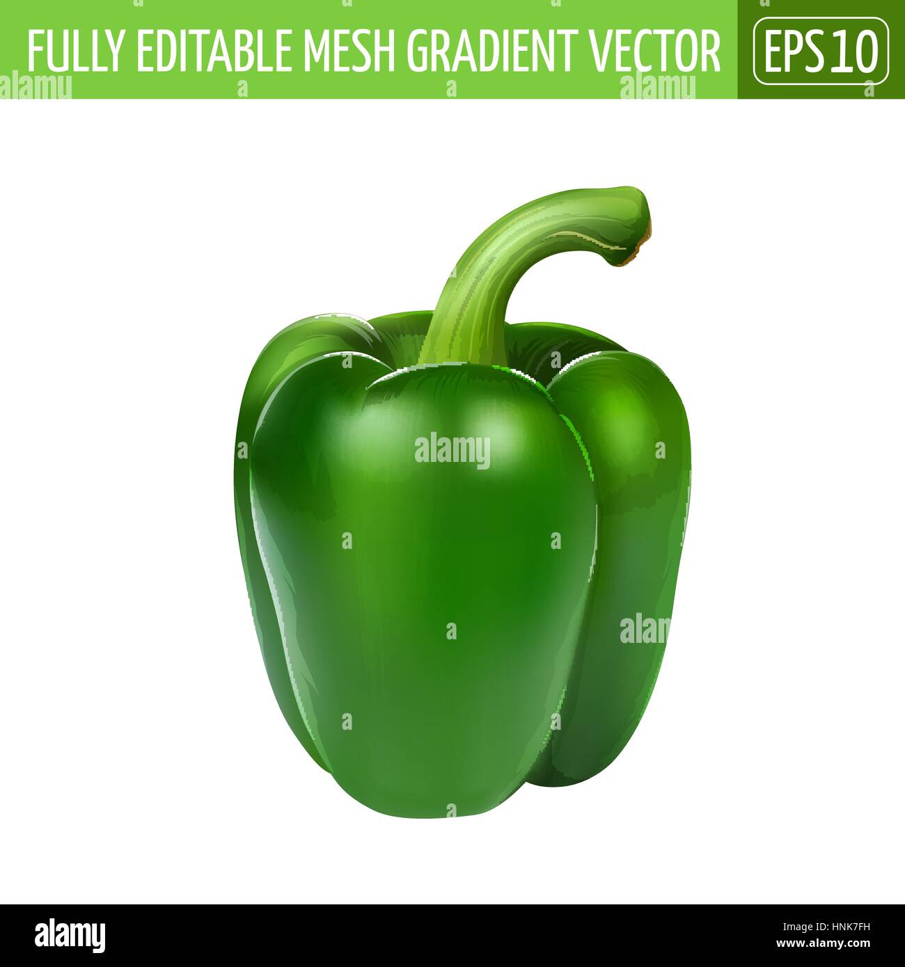 Green pepper on white background. Vector illustration Stock Vector ...