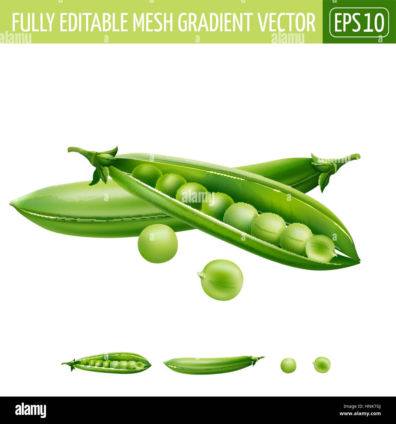 Green peas on white background. Vector illustration Stock Vector Image ...