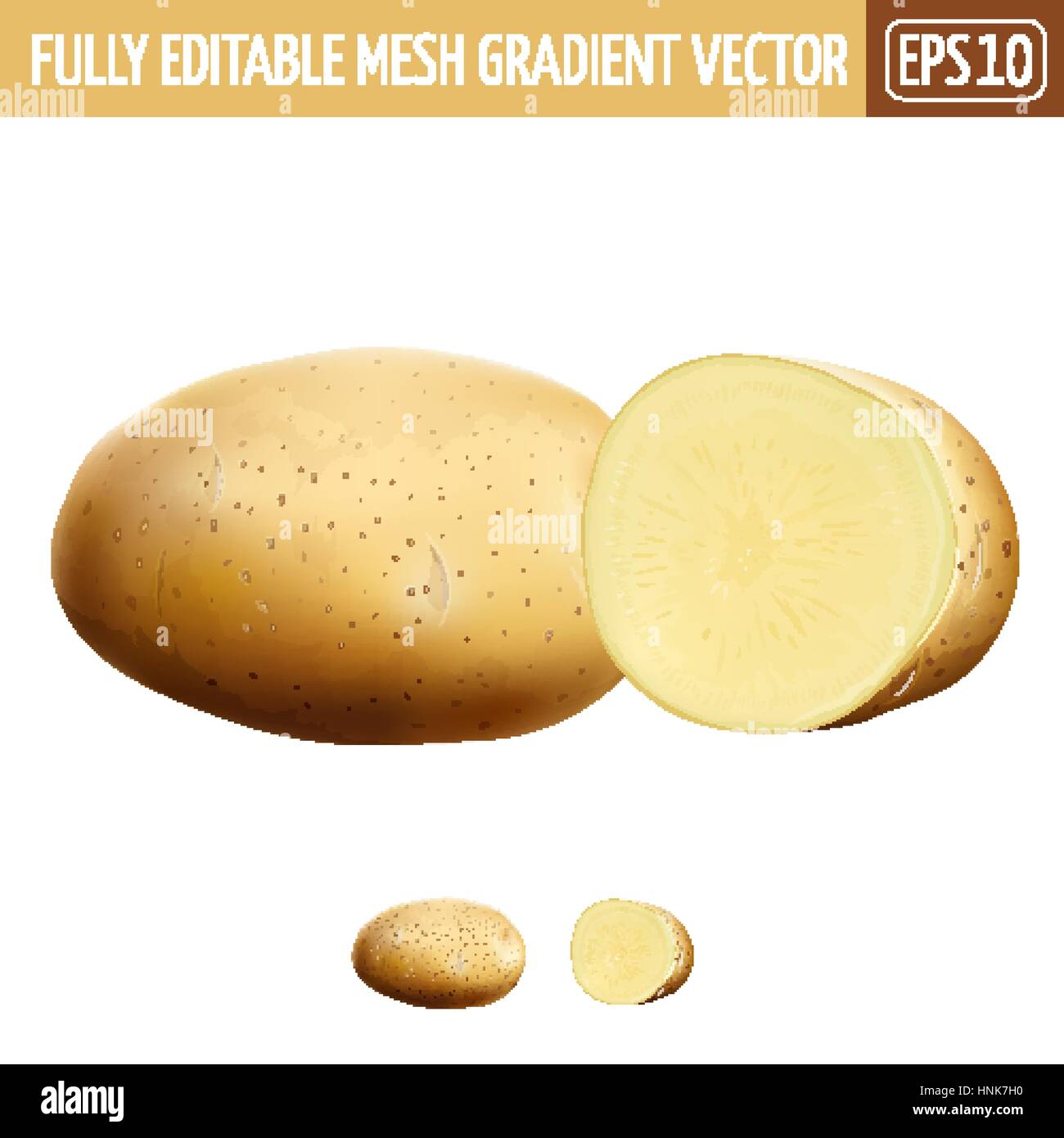 Potatoes on white background. Vector illustration Stock Vector Image ...
