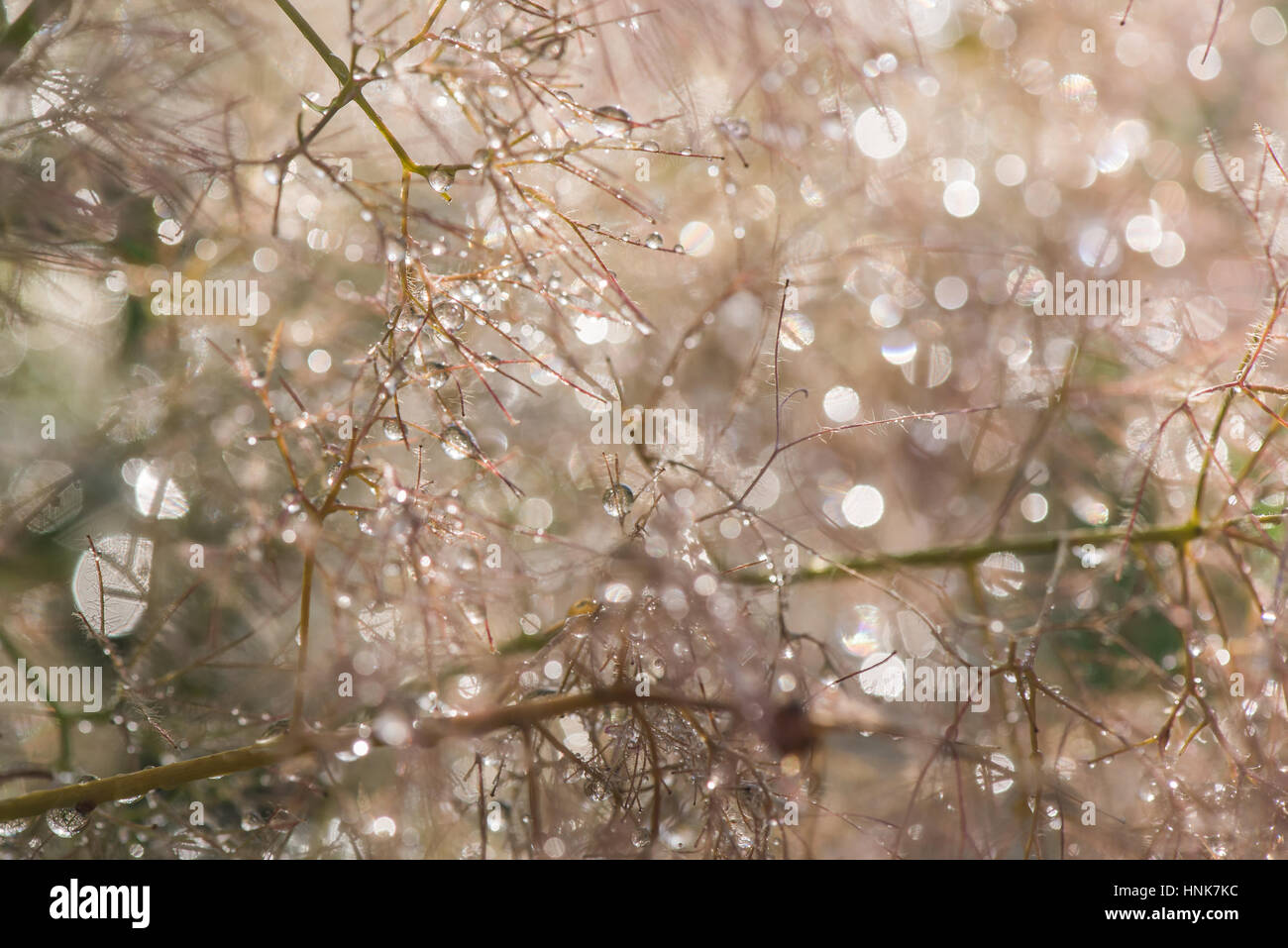 Magical colours fine art hi-res stock photography and images - Alamy