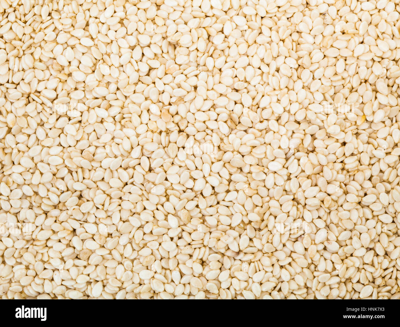 food background - many white sesame seeds Stock Photo - Alamy