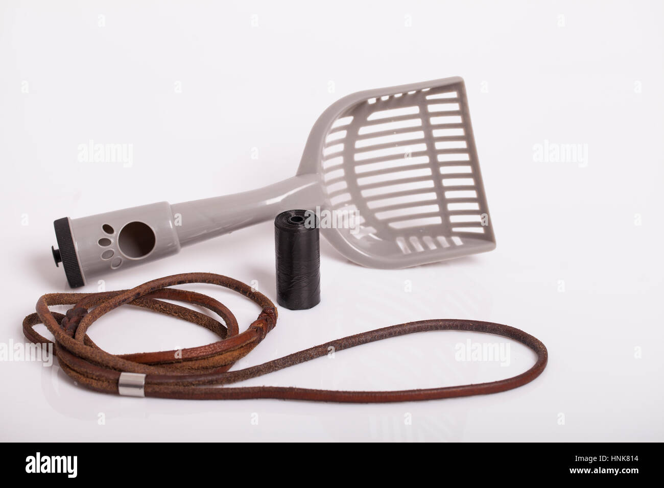 Accessories for walking dog, Selective focus and small depth of field ...