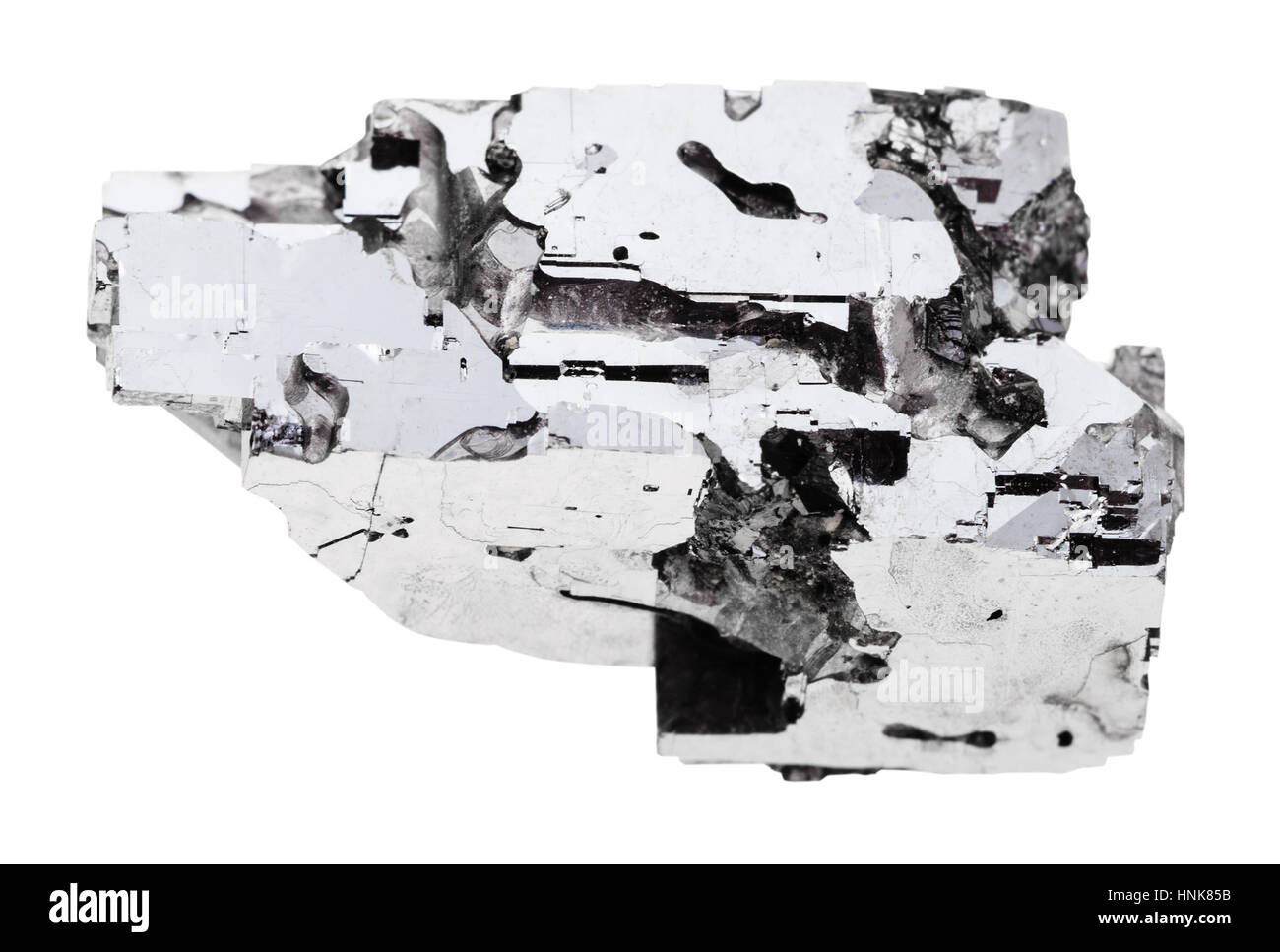 macro shooting of geological collection mineral - specimen of Galena ...