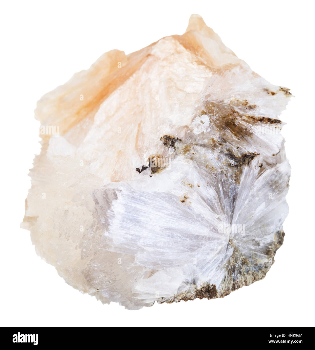 macro shooting of geological collection mineral - natural Thomsonite ...