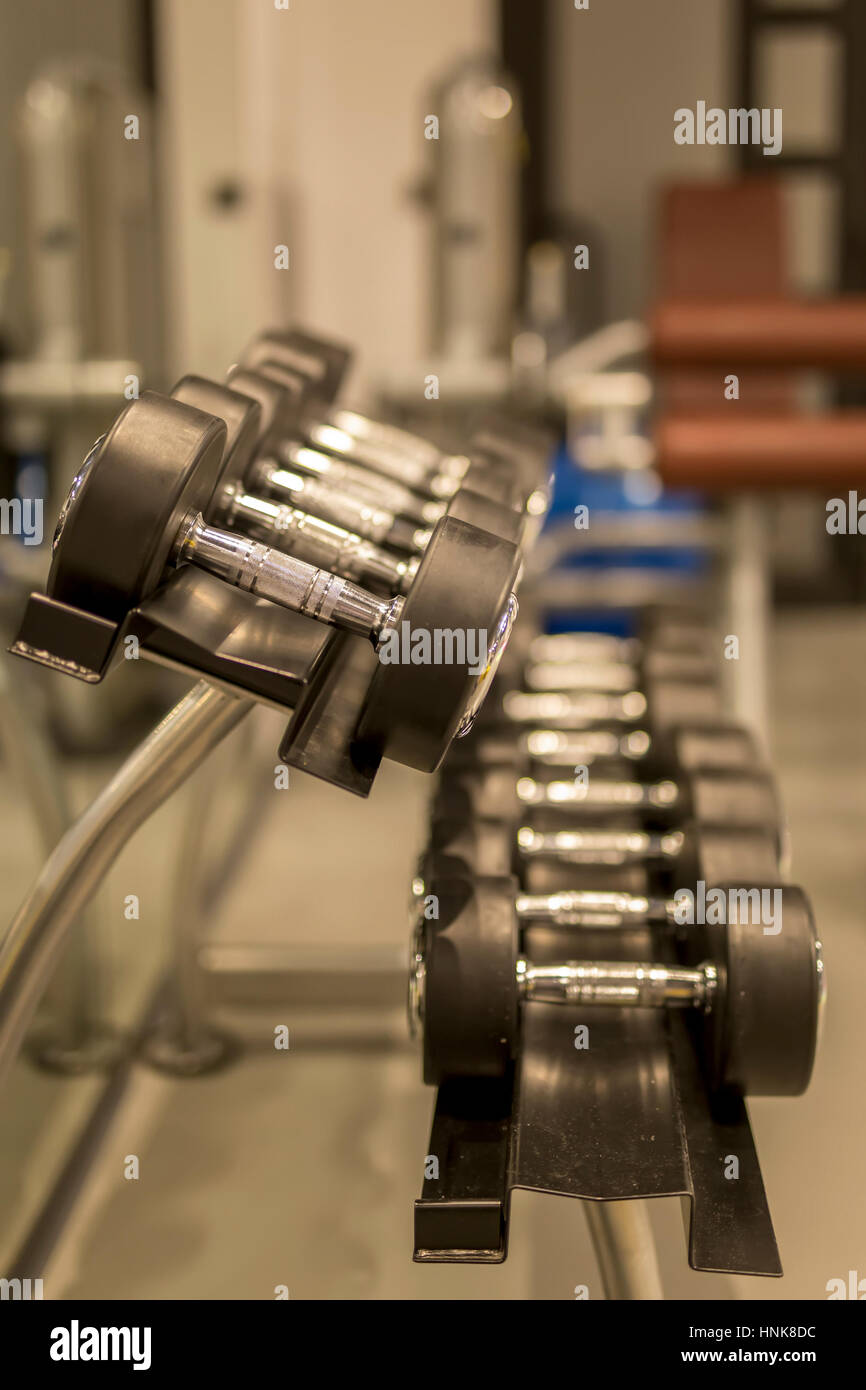 Dumbbell in the gym Stock Photo - Alamy