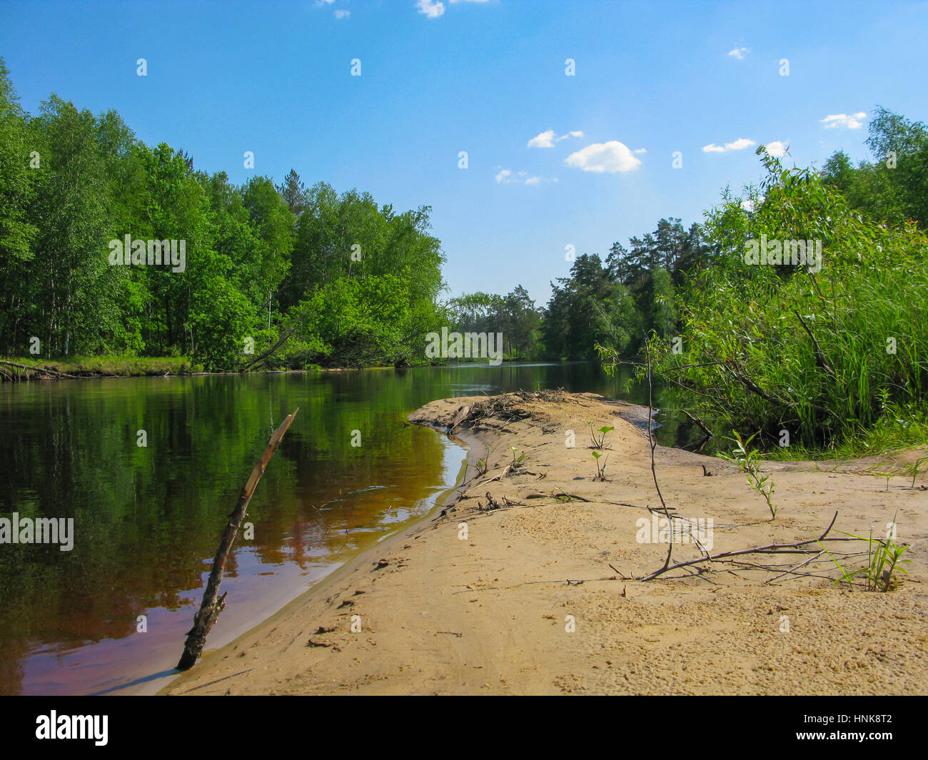 Spring sun in magic bright forest beautiful sunny blue sky river Stock ...