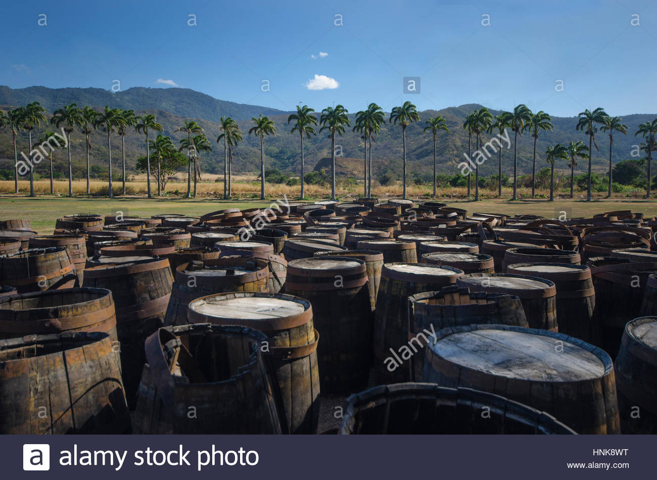 Rum Barrels Stock Photos & Rum Barrels Stock Images - Alamy