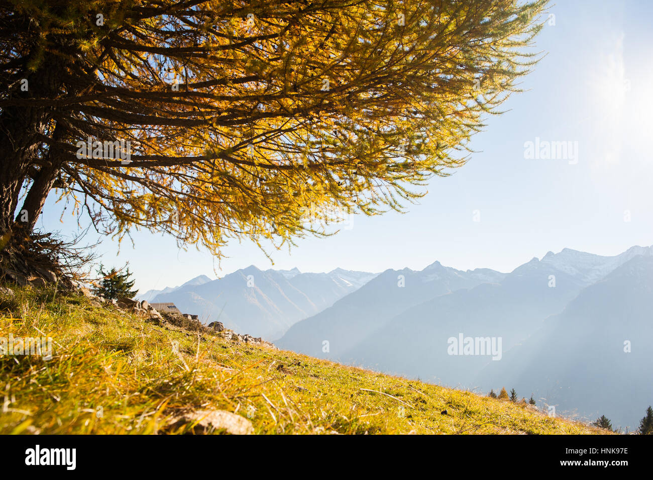 Swiss mountains in autumn Stock Photo - Alamy