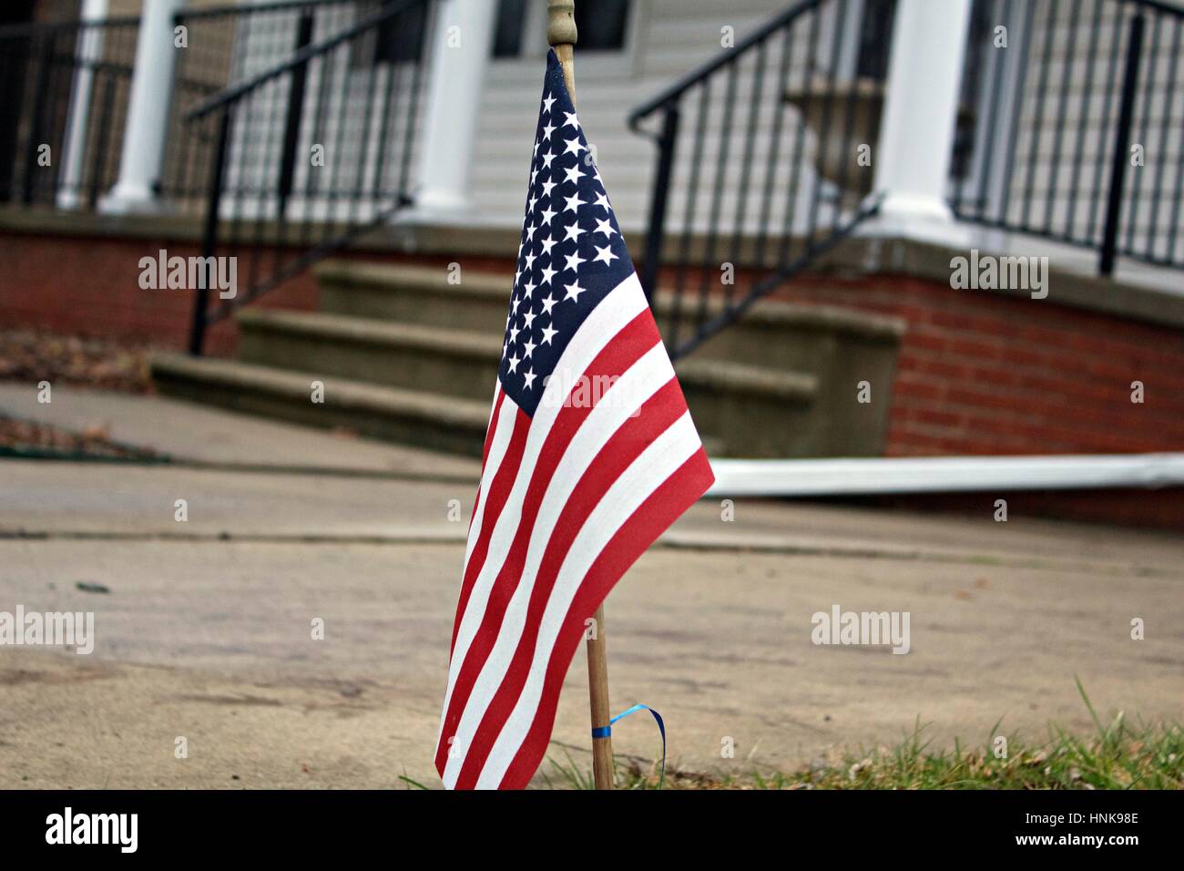American flag hanging from tree hi-res stock photography and images - Alamy