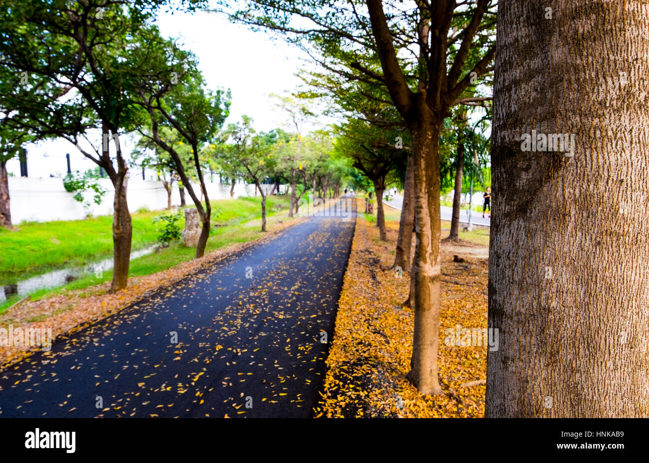 Lane park hi-res stock photography and images - Alamy