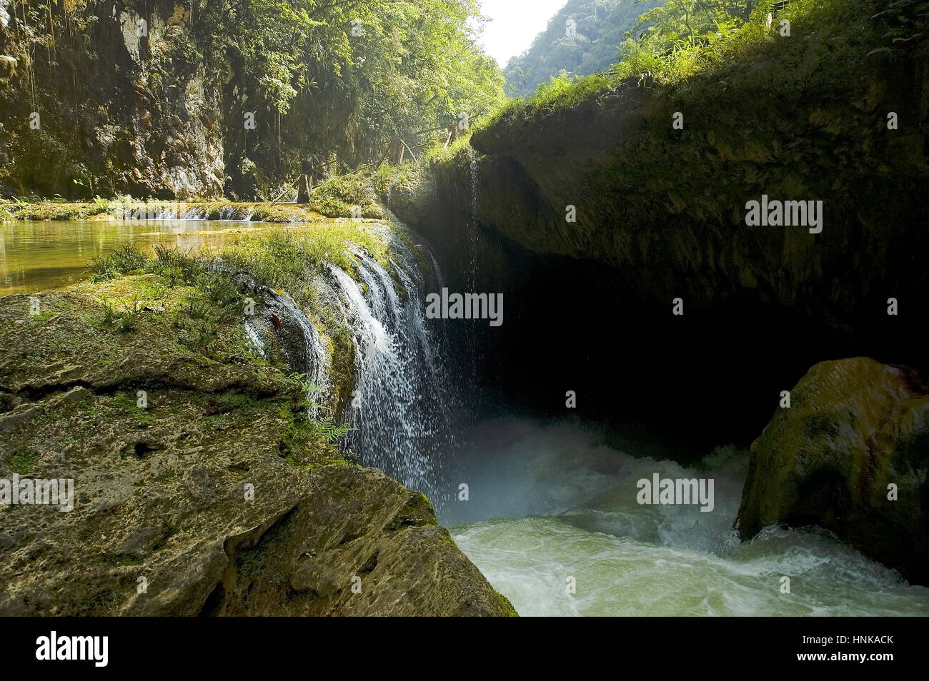 Semuc Champey, landscape in Guatemala Stock Photo - Alamy