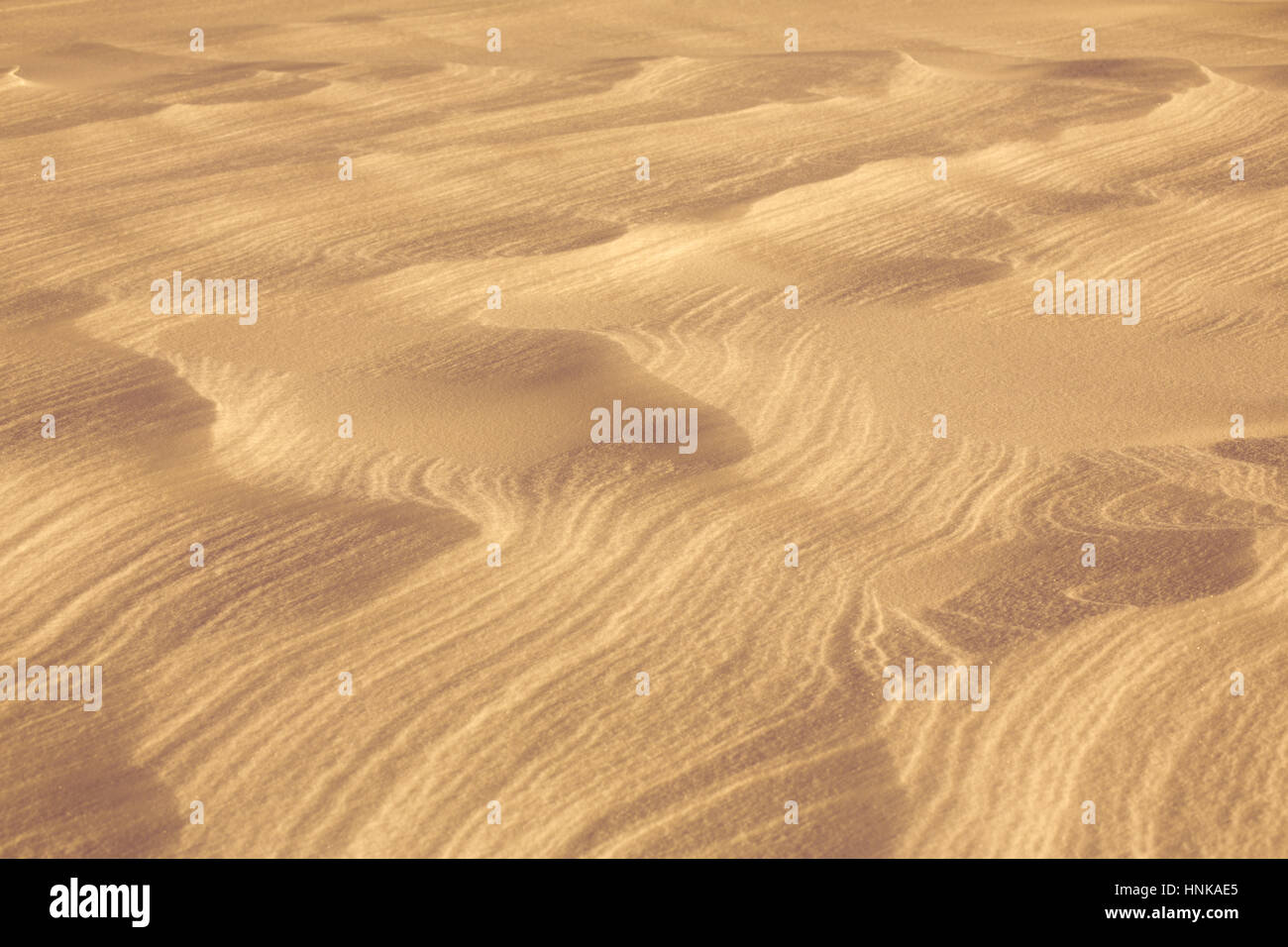 desert sand surface natural background Stock Photo - Alamy