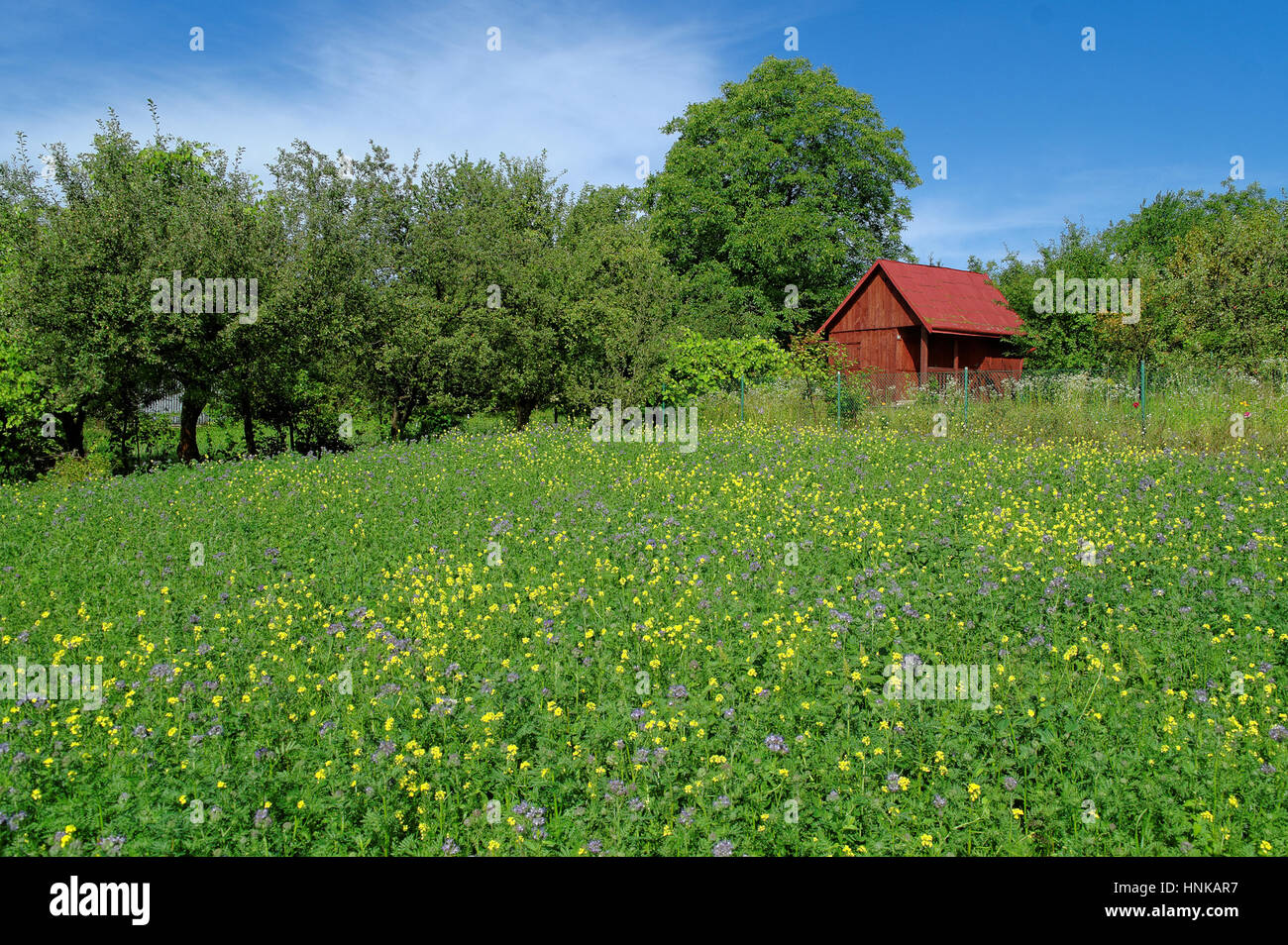Small red hut hi-res stock photography and images - Alamy