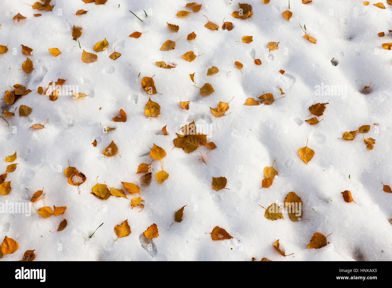Soft sparkling snow texture background hi-res stock photography and ...