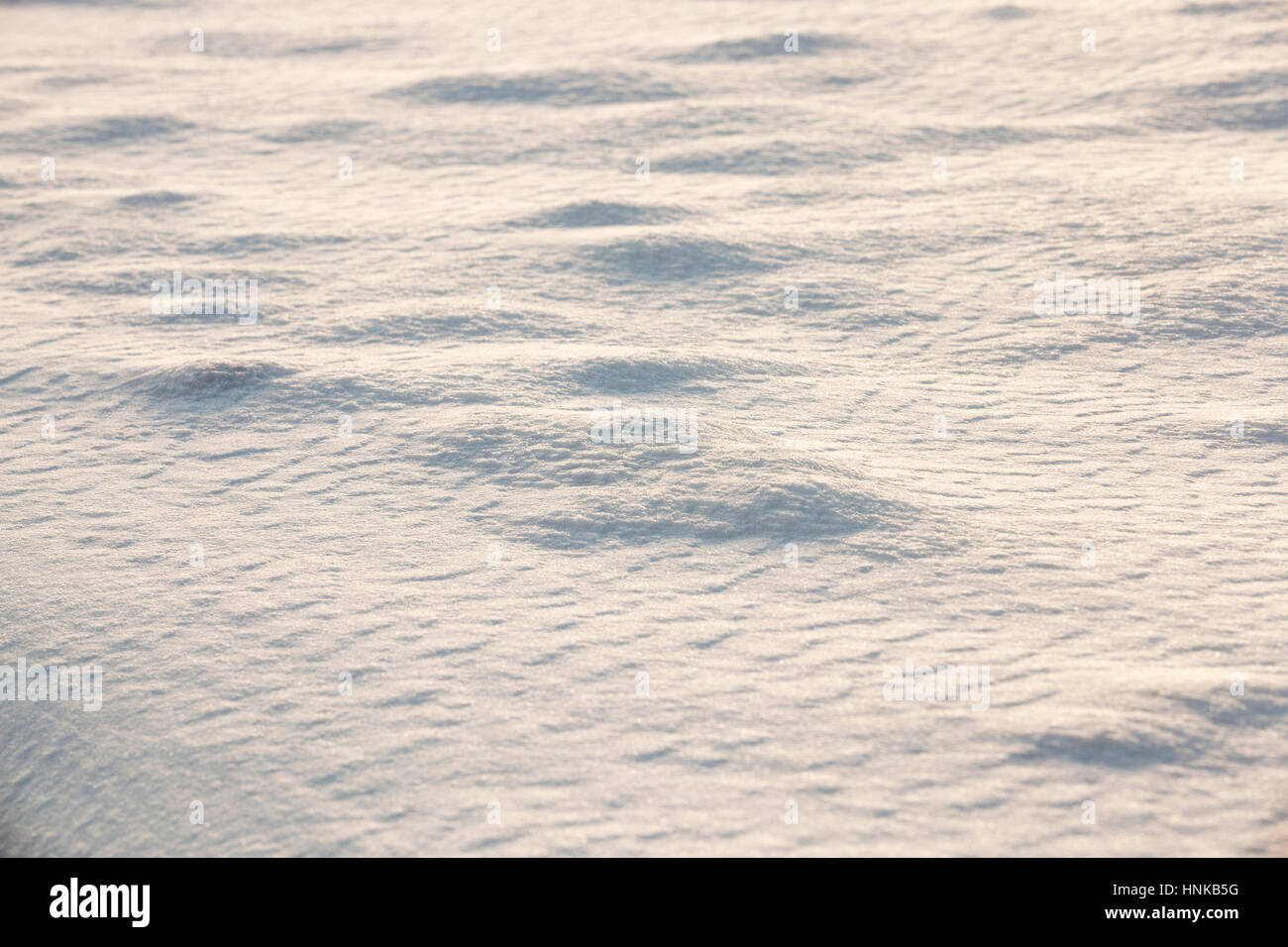 Photo snow, close-up Stock Photo - Alamy