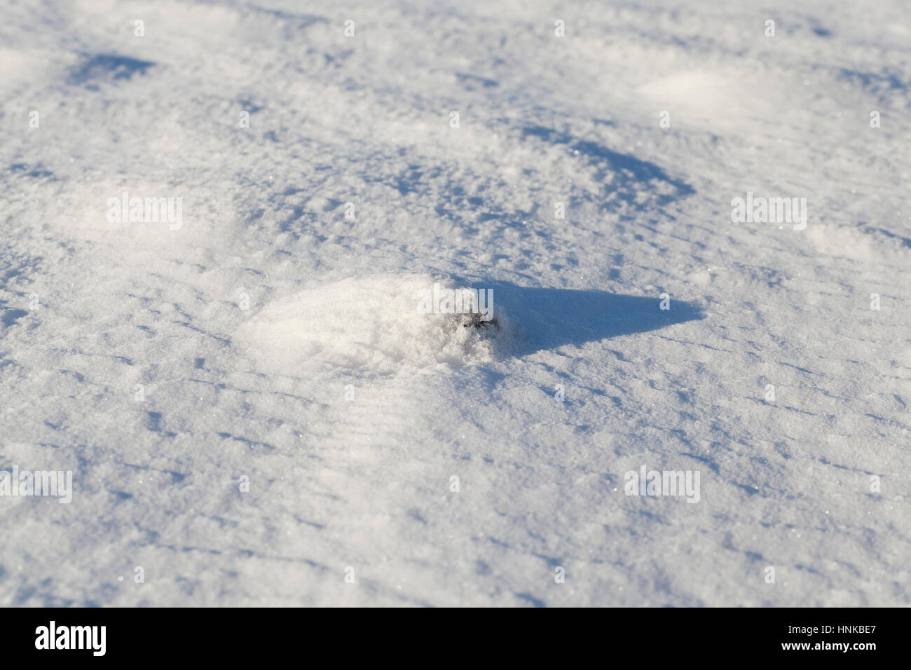 Bumps of snow hi-res stock photography and images - Alamy