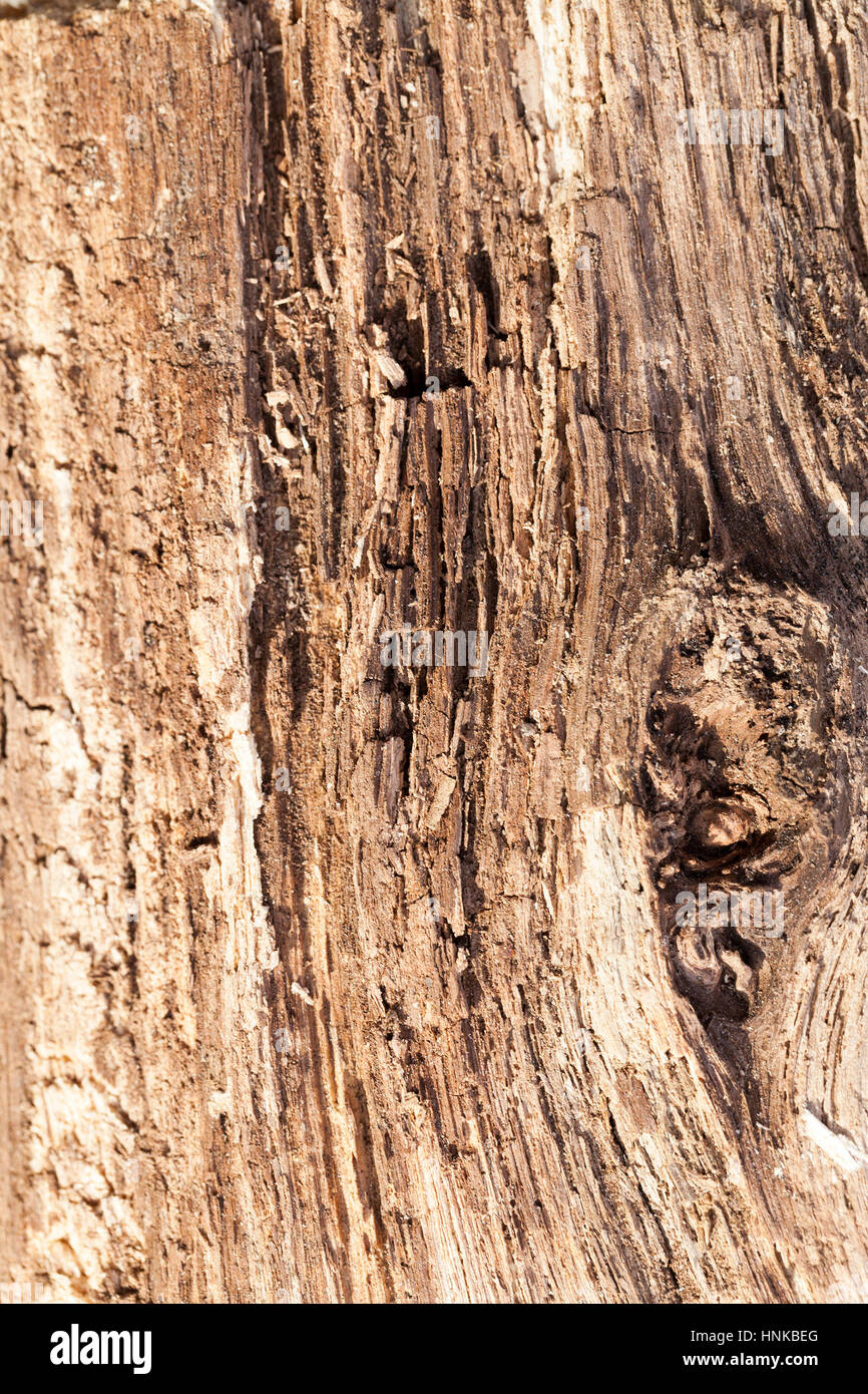 old split wood Stock Photo - Alamy