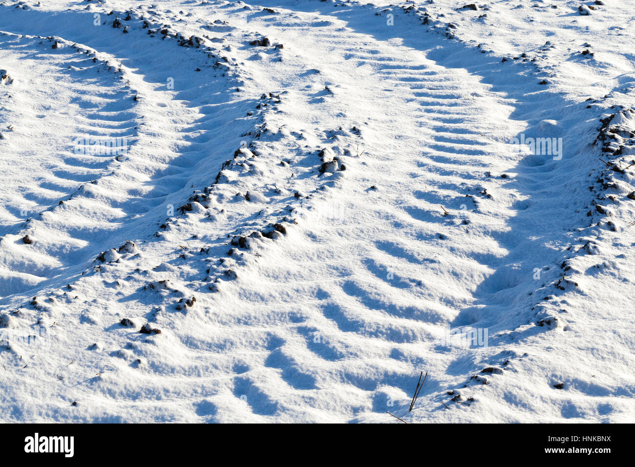 Photo snow, close-up Stock Photo - Alamy
