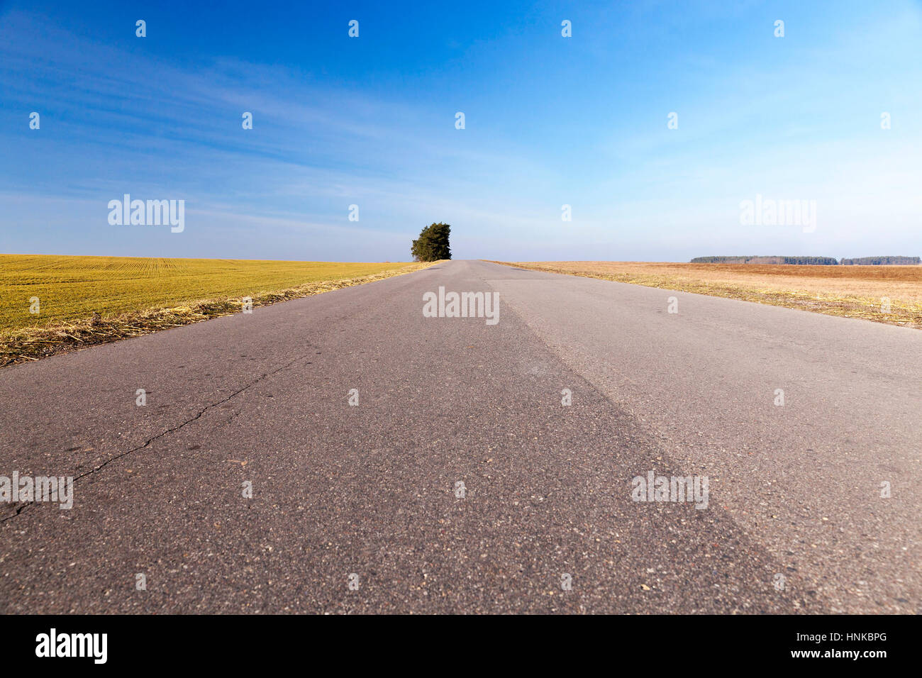 rural road, tree Stock Photo - Alamy