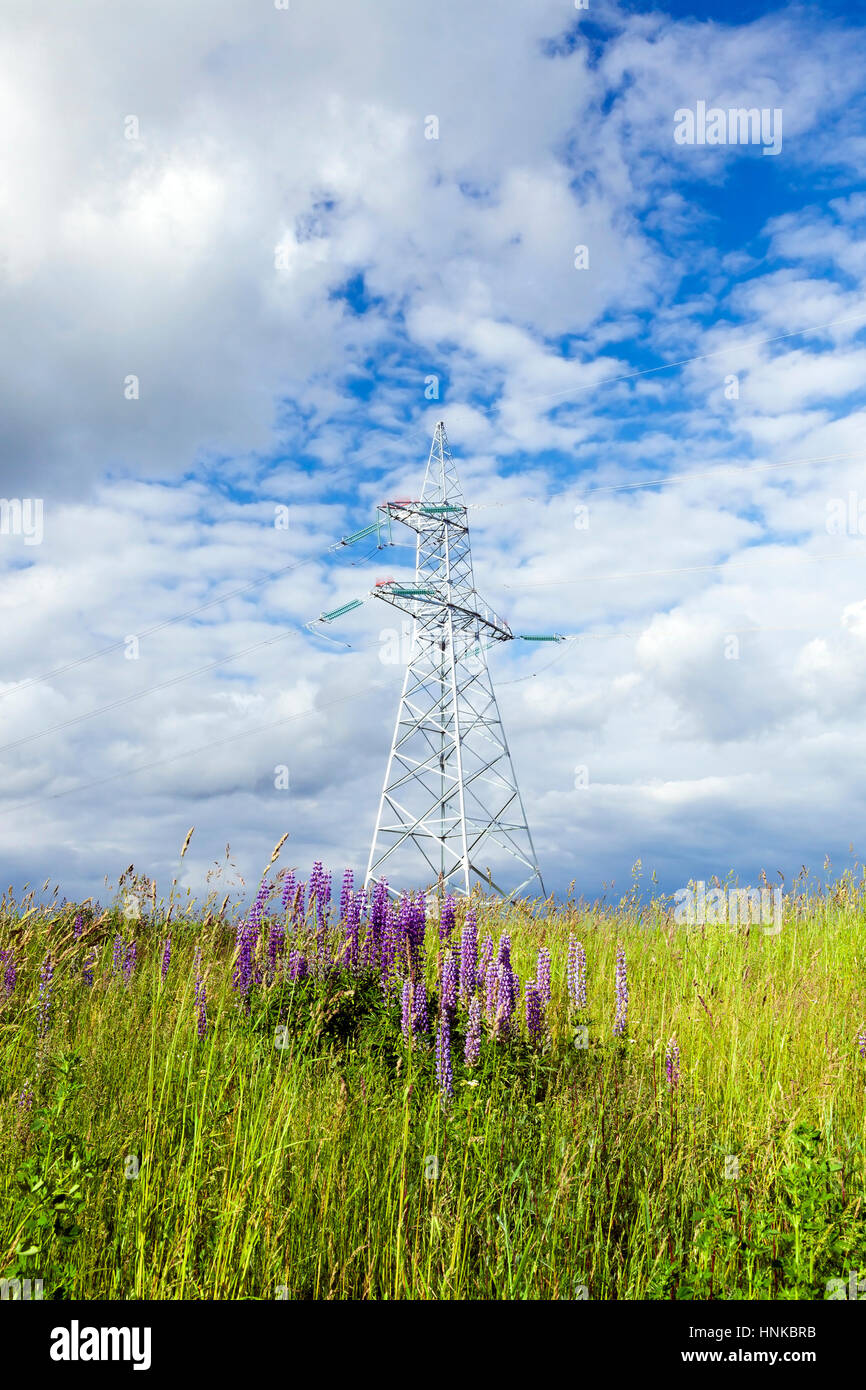 electric pole, field Stock Photo - Alamy