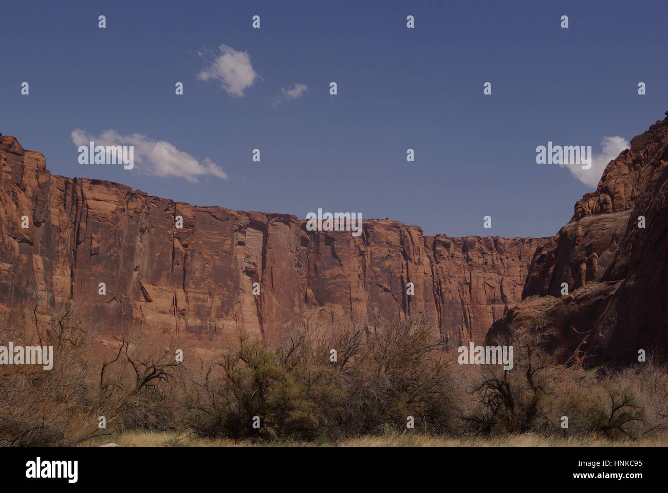 Desert section hi-res stock photography and images - Alamy