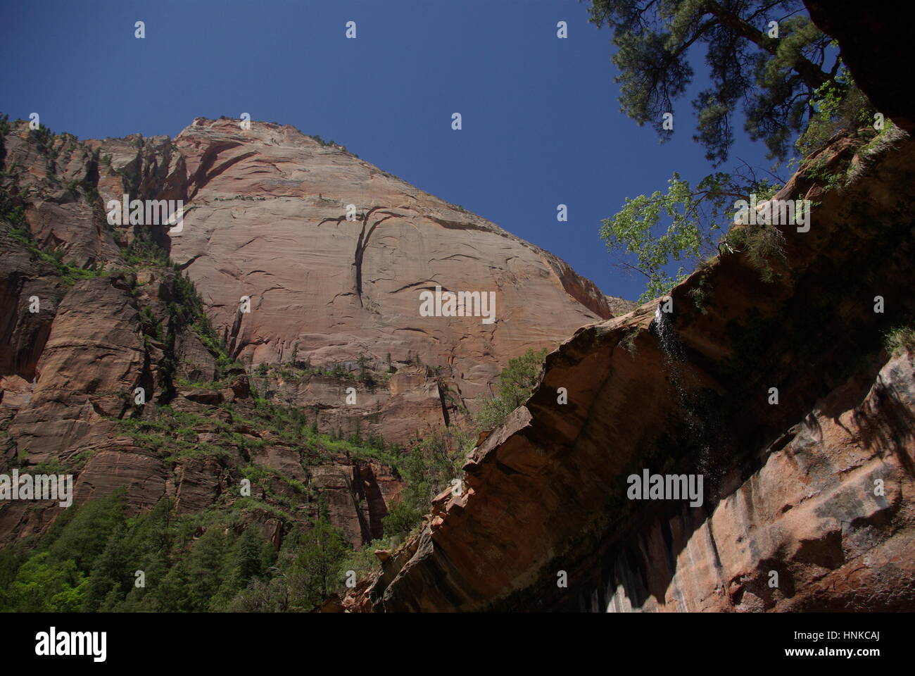 Mountain cross section hi-res stock photography and images - Alamy