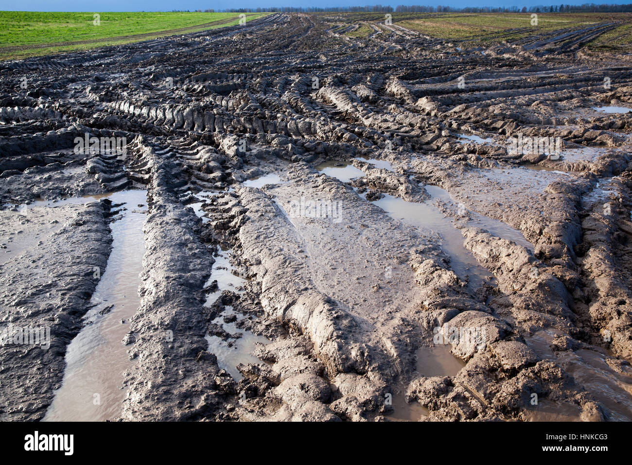 road in a field Stock Photo - Alamy