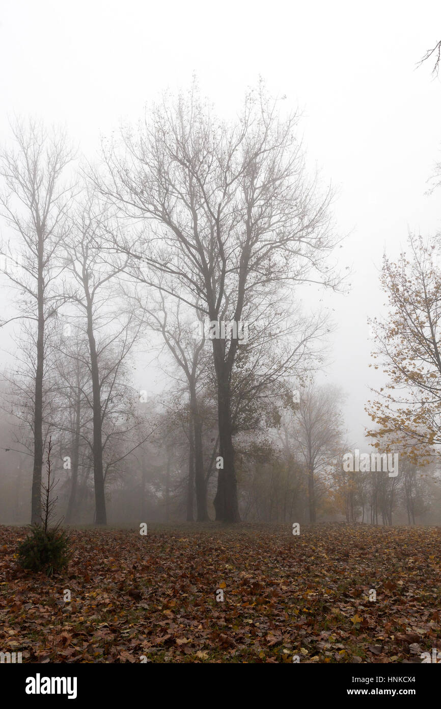 Film of fog hi-res stock photography and images - Alamy