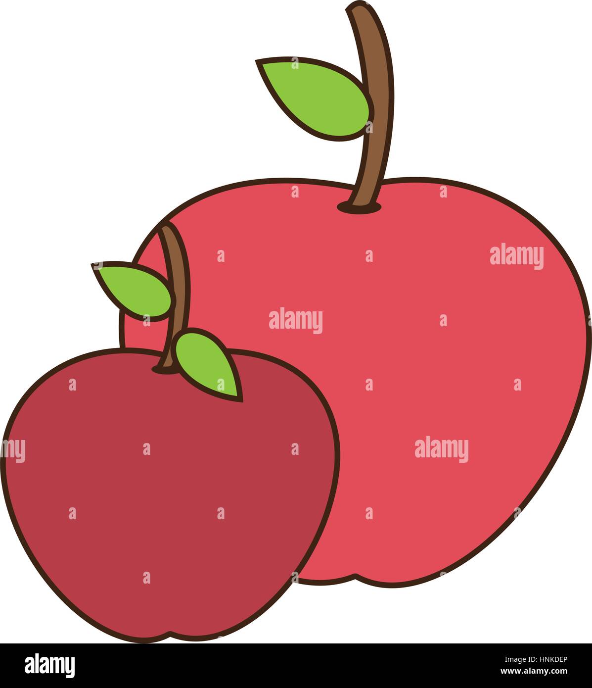 colorful drawing set collection apple fruits vector illustration Stock ...